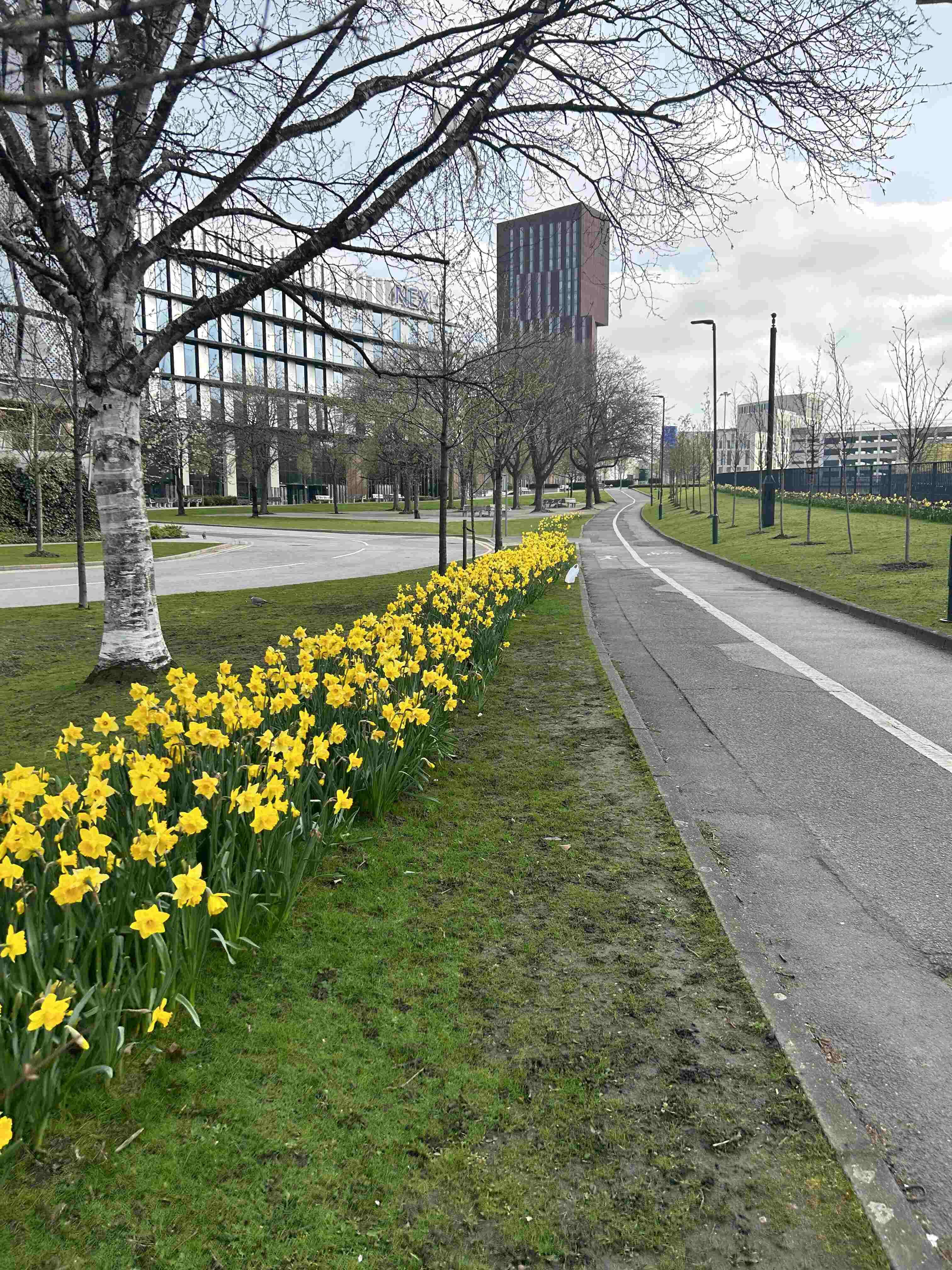 University of Leeds Rankings 2025