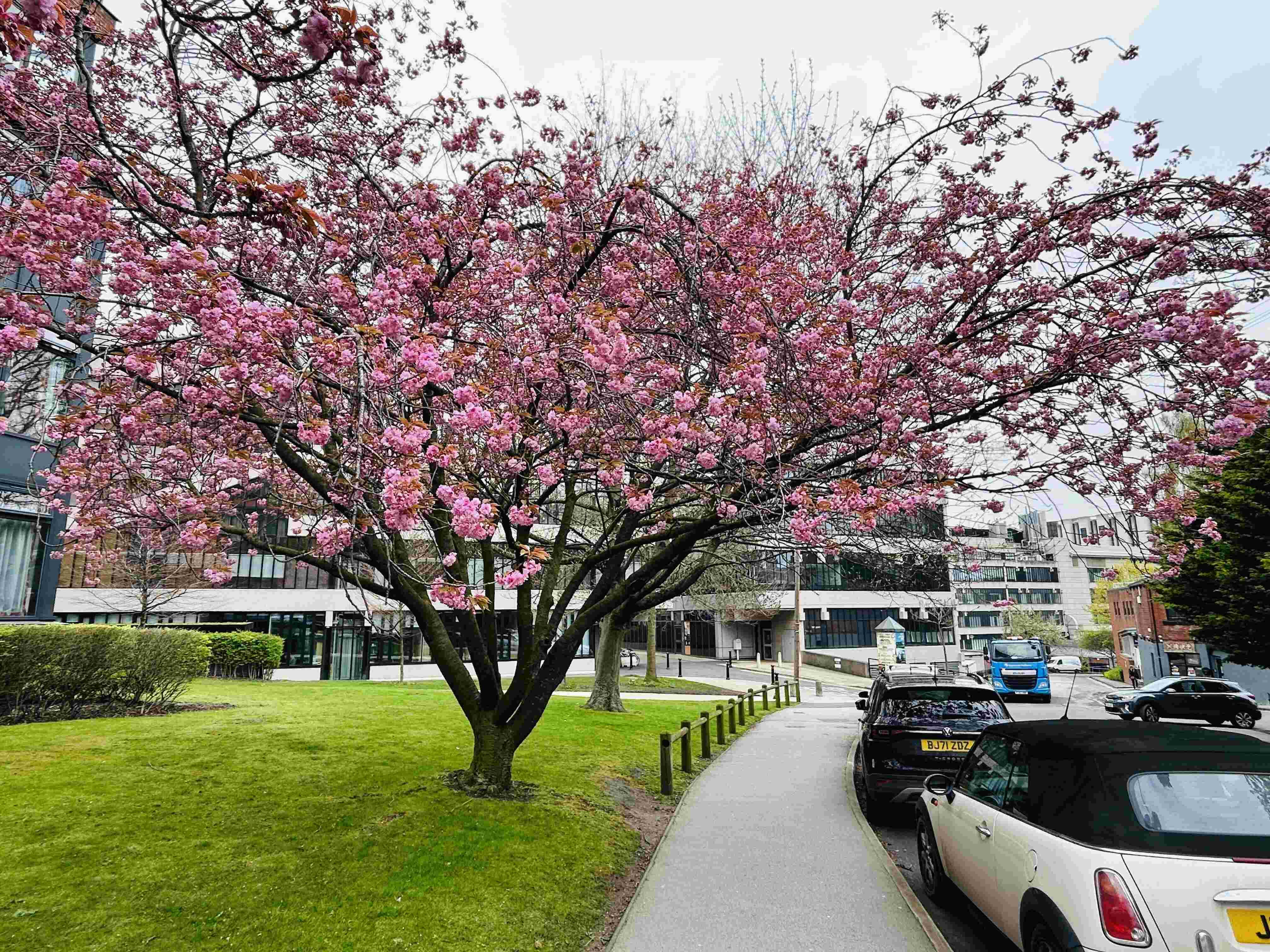 University of Leeds: Admissions 2025, Fees, Rankings, Scholarships ...