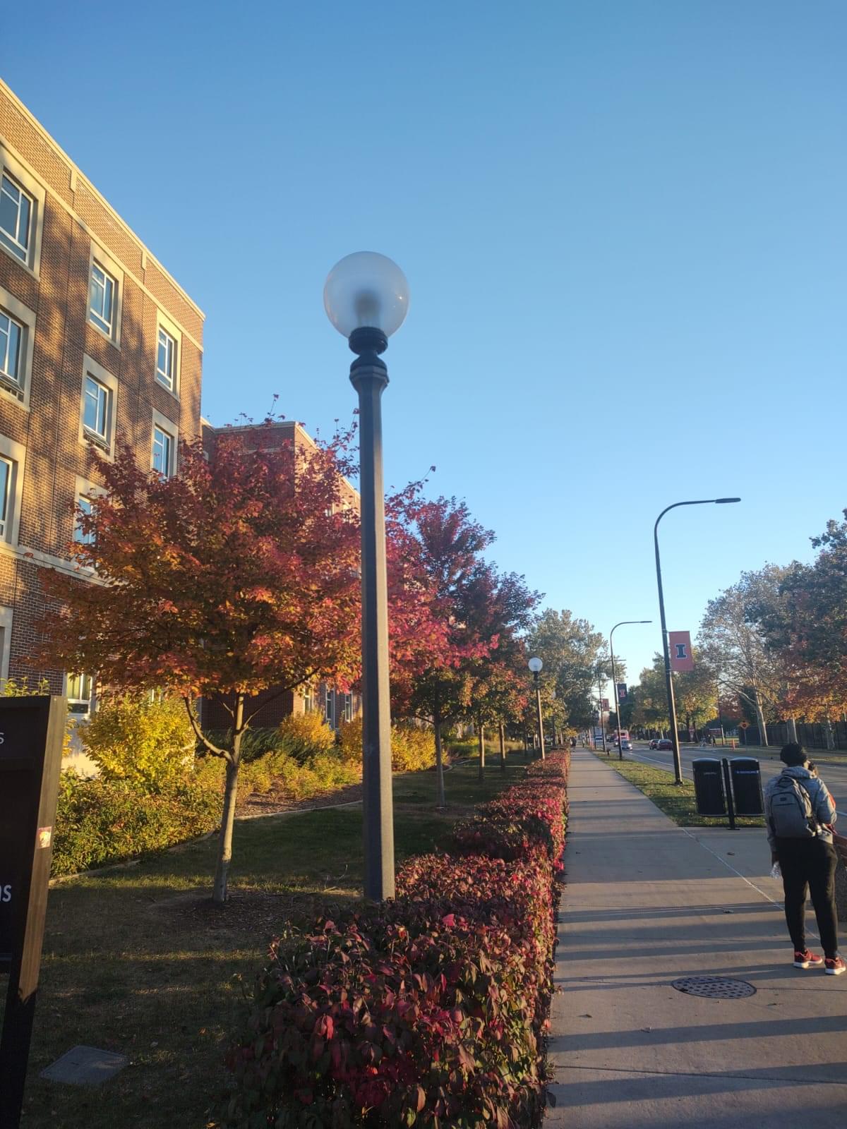 University of Illinois Urbana Champaign (UIUC) Rankings 2025