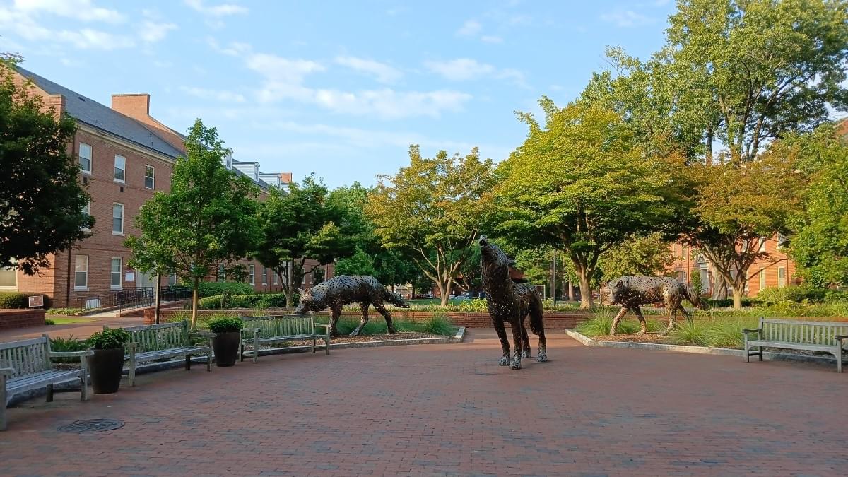 North Carolina State University (NC State) Admissions 2026: Application ...