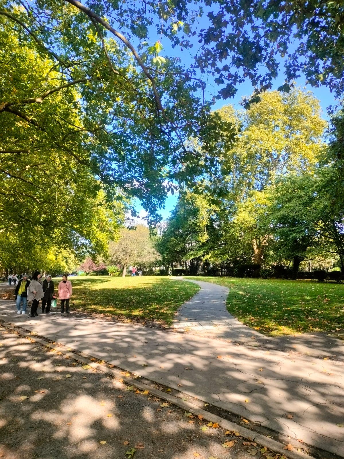 Kingston University Rankings 2026