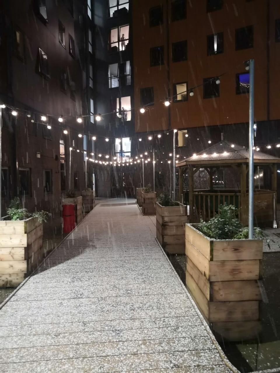 M.Sc Management and International Business at Birmingham City ...