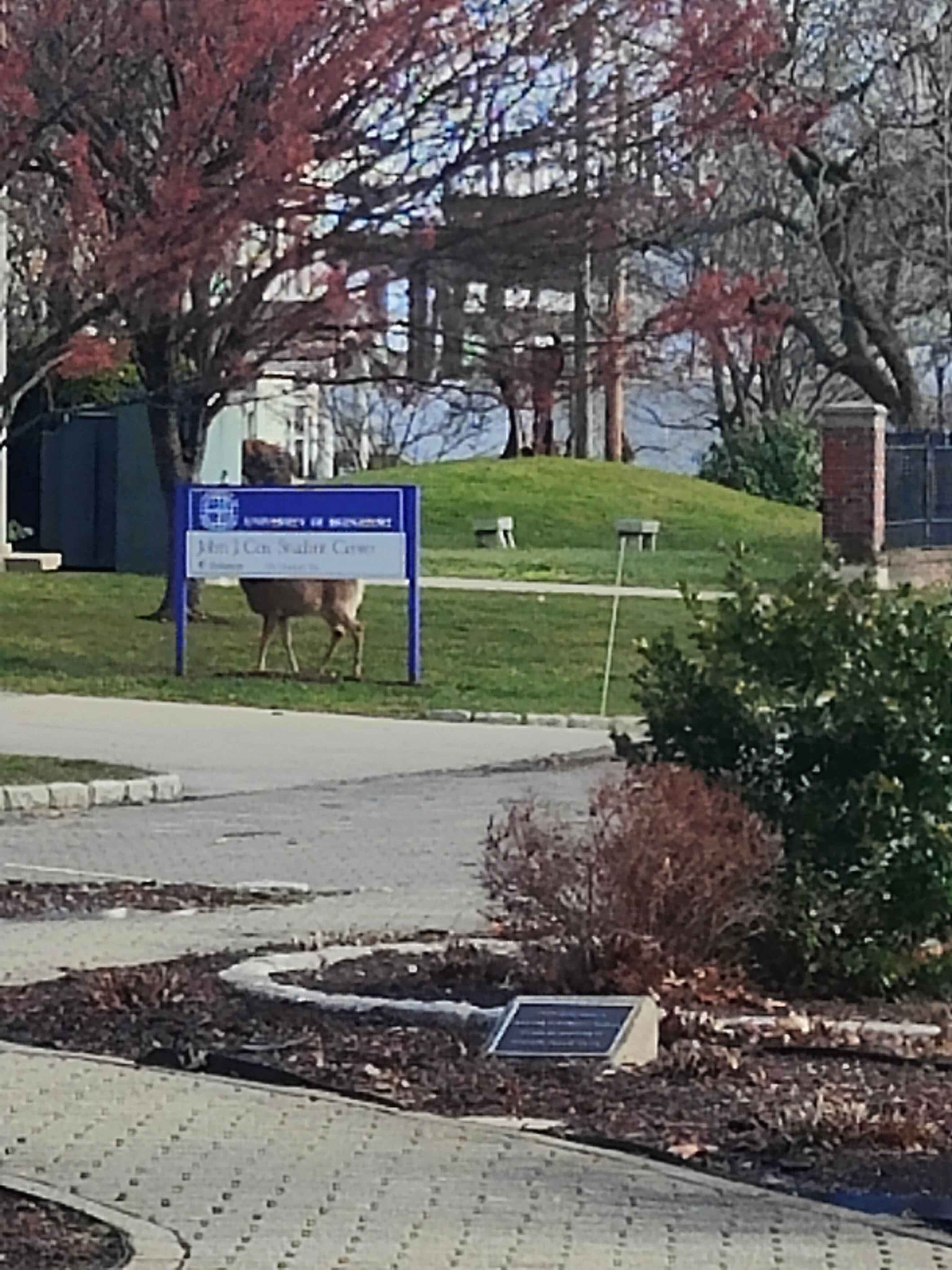 University of Bridgeport: Fees 2026, Scholarships, Admissions 2026 ...