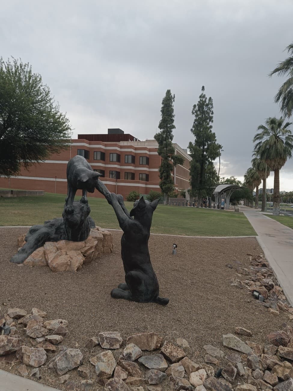 University of Arizona: Admissions 2026, Fees, Rankings, Scholarships ...