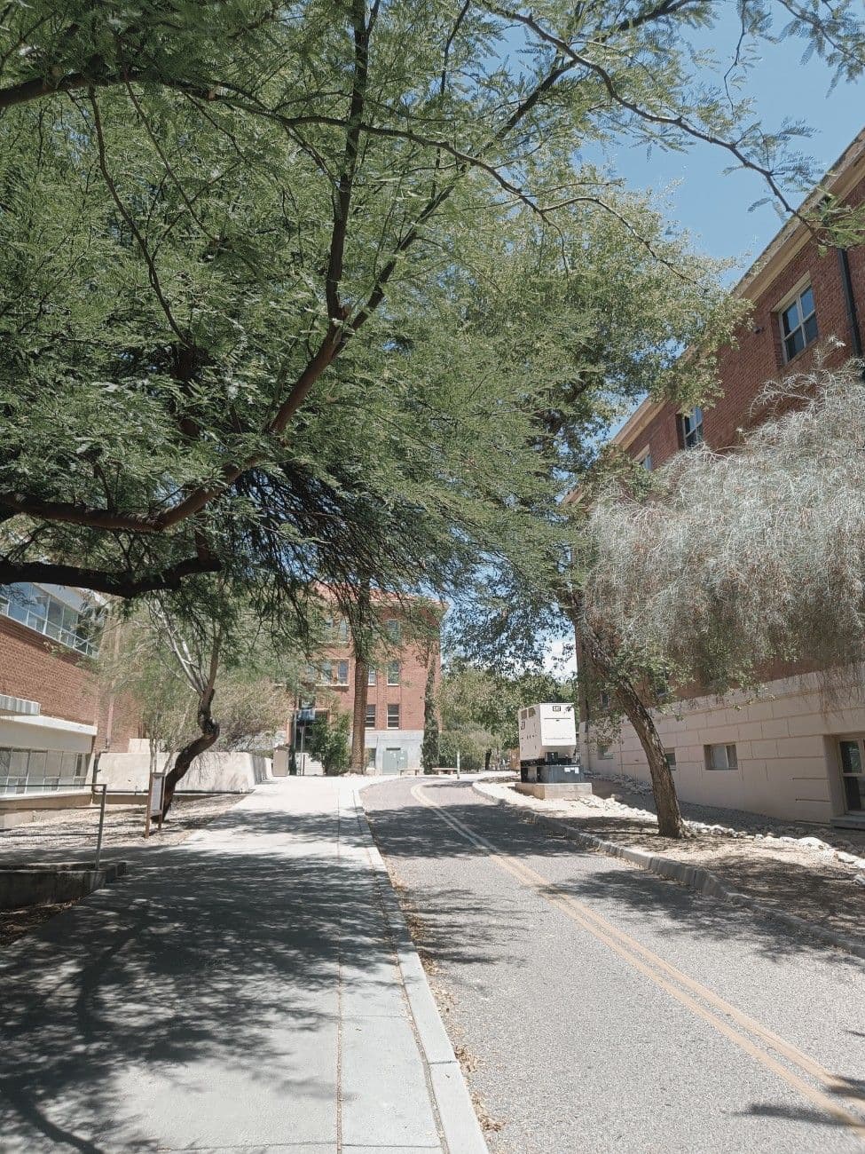 University of Arizona: Admissions 2026, Fees, Rankings, Scholarships ...