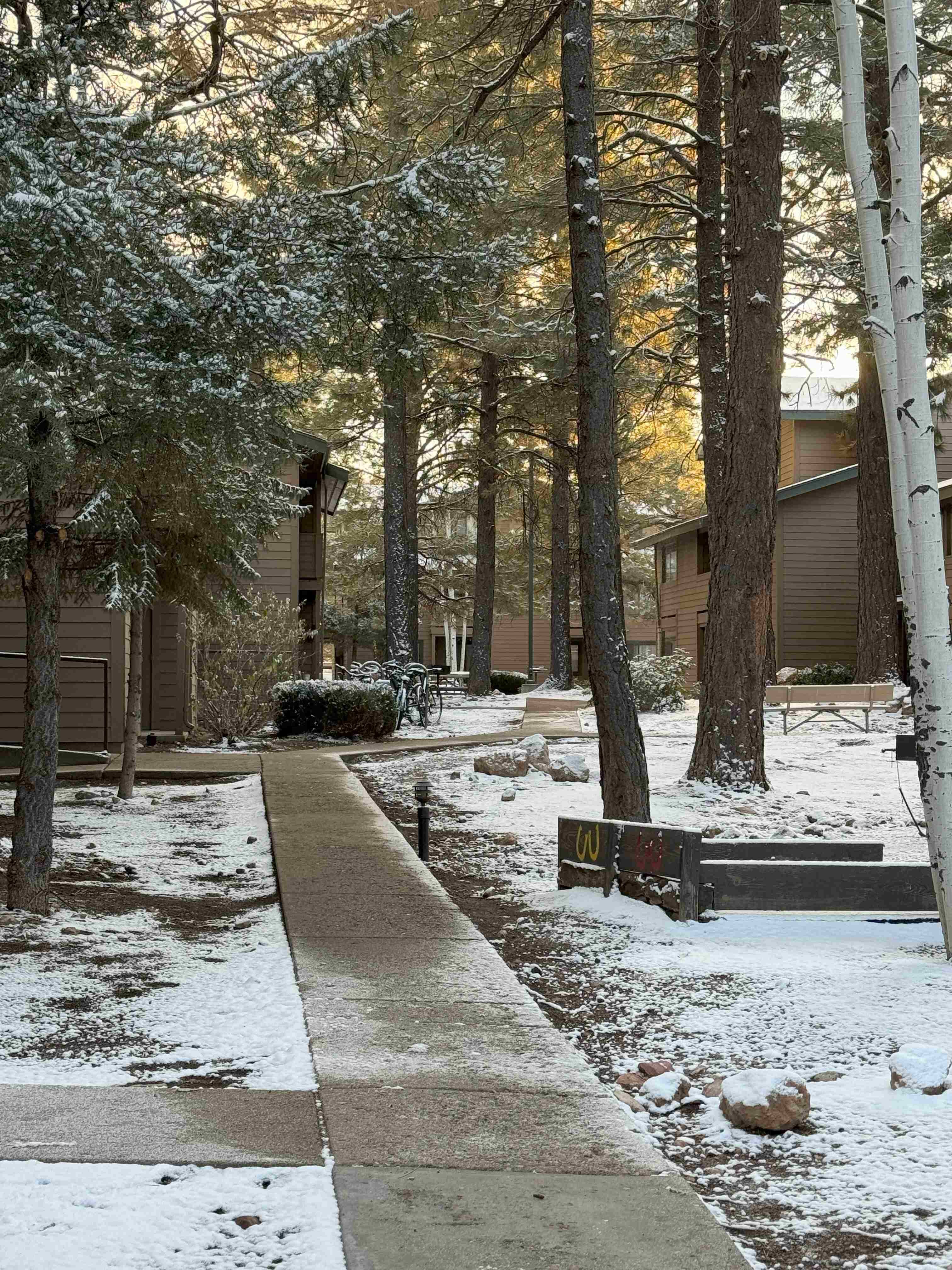 Northern Arizona University Rankings 2025