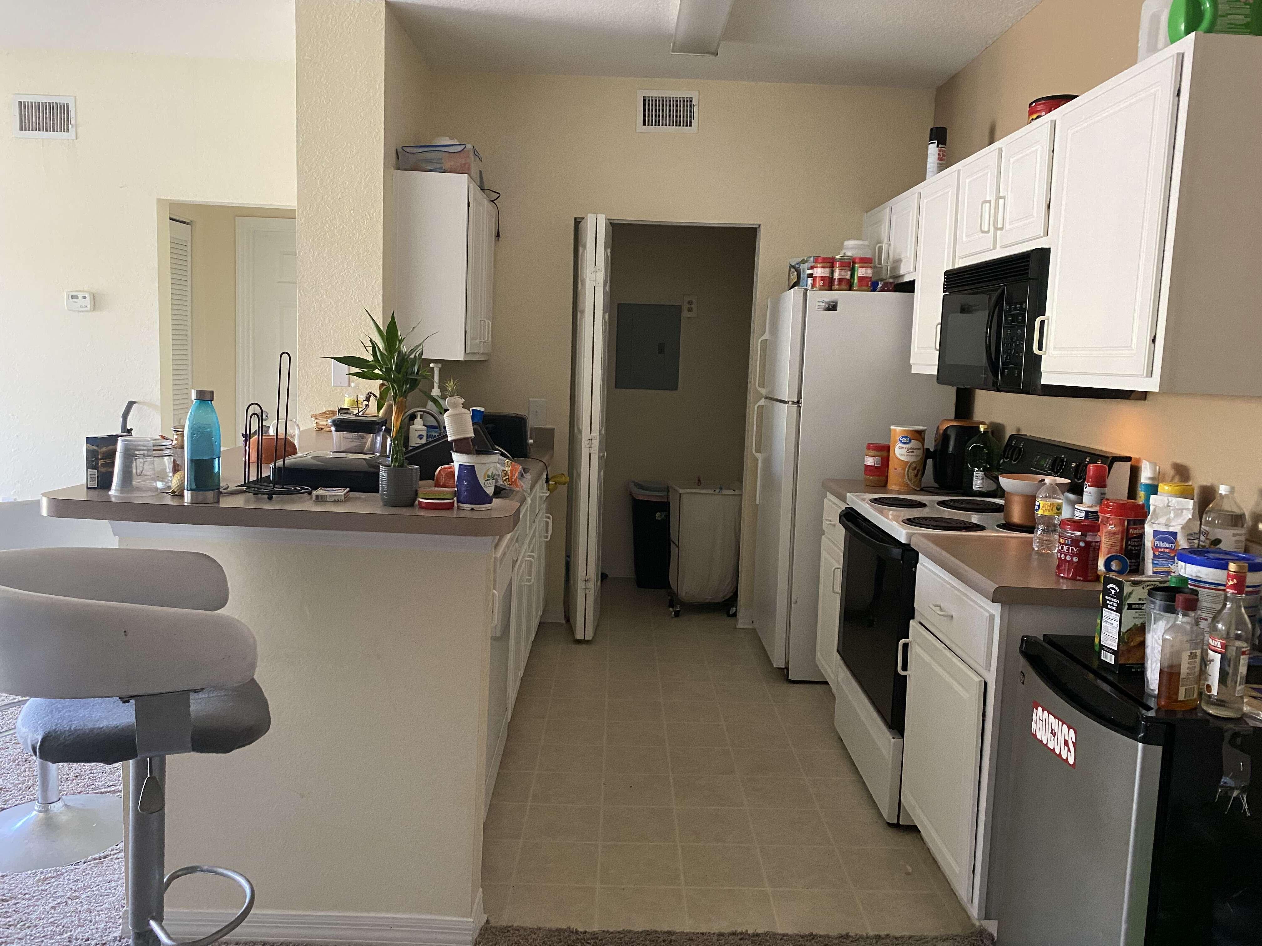 University of South Florida, Tampa (USF) Rankings 2025