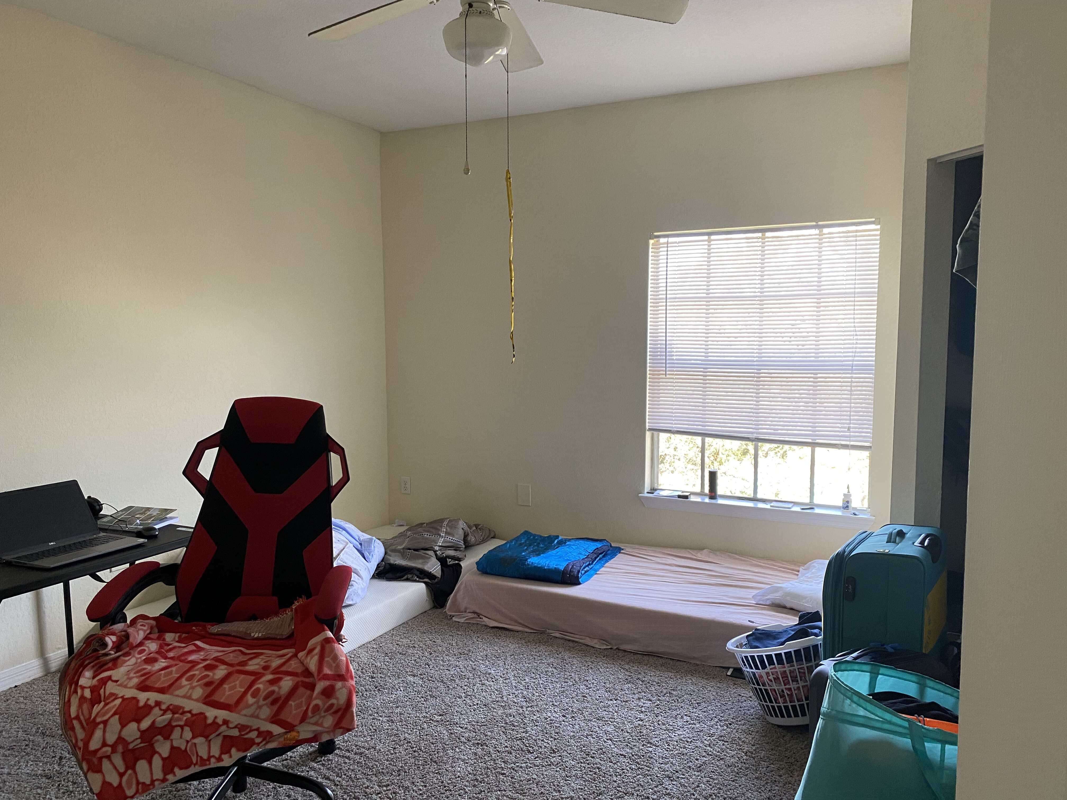 University of South Florida, Tampa (USF): Fees 2026, Admissions ...