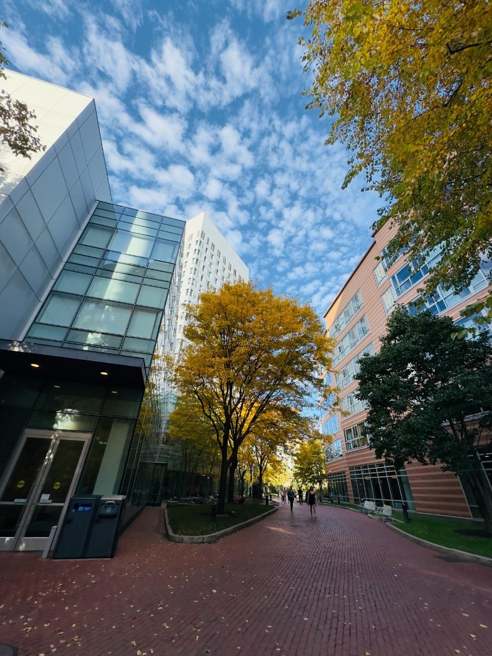 Northeastern University (NEU) Rankings 2025
