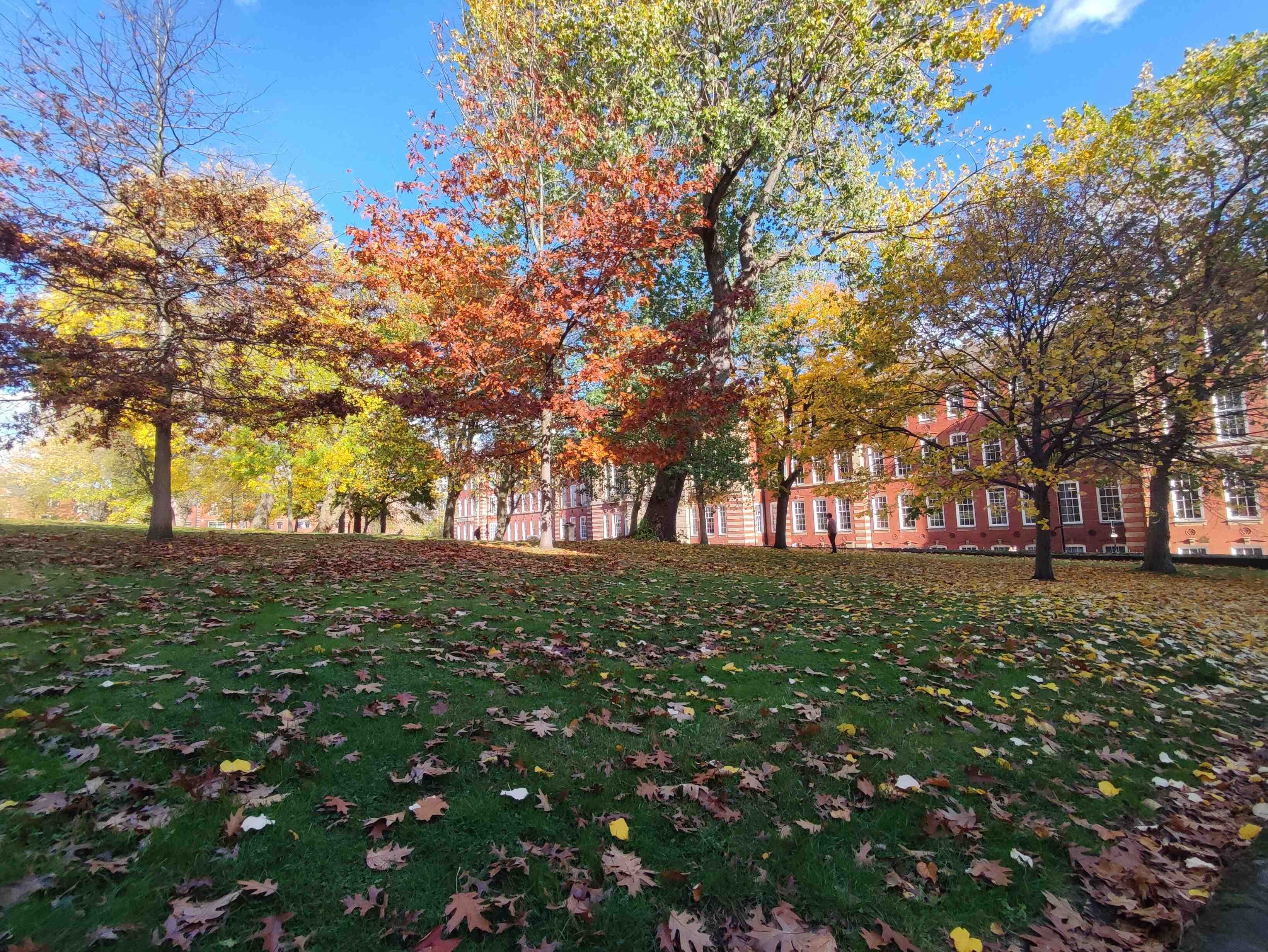 University of Sheffield Admissions 2026: Application Deadline ...