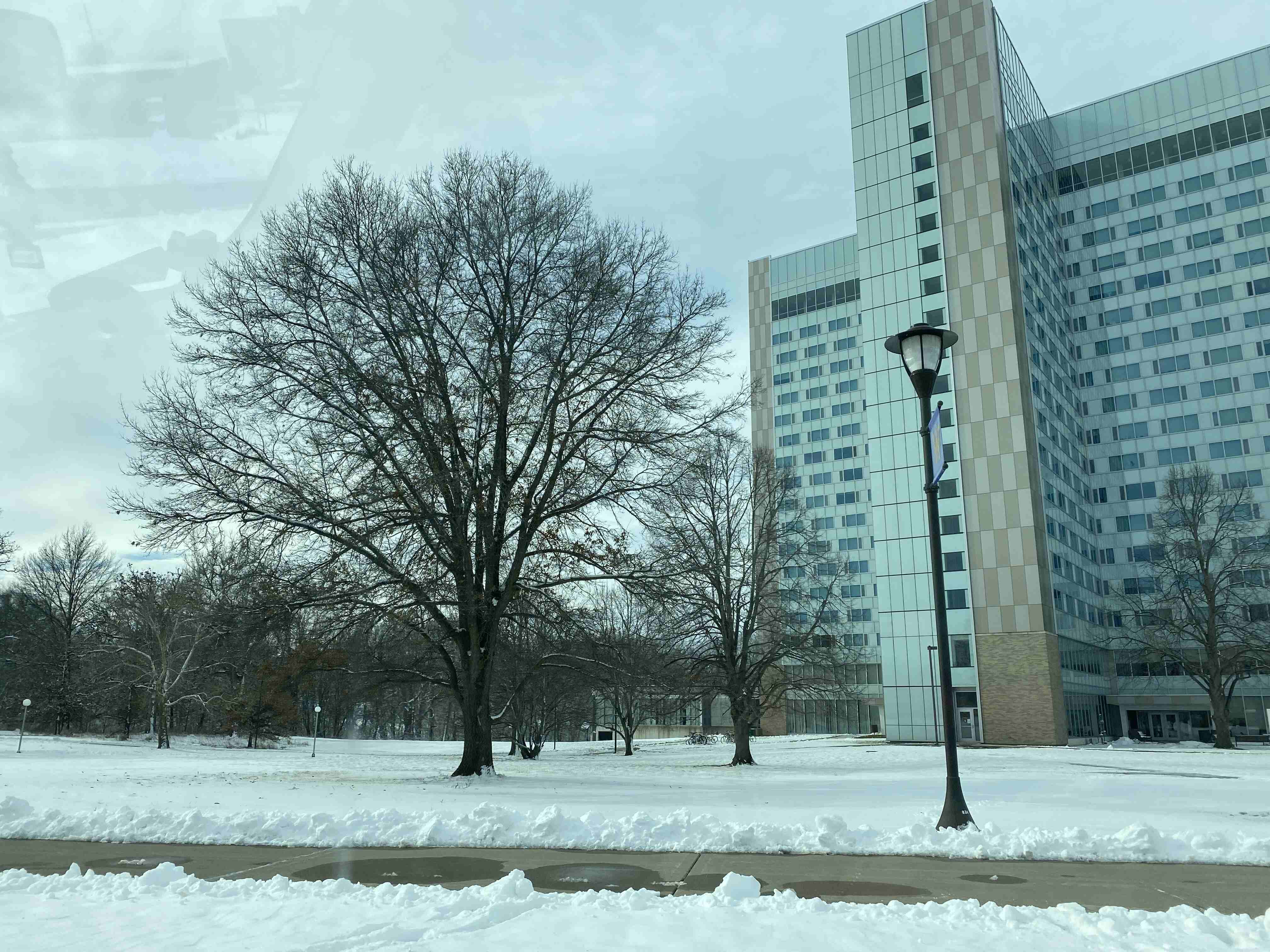 Western Illinois University (WIU): Fees 2026, Scholarships, Admissions ...