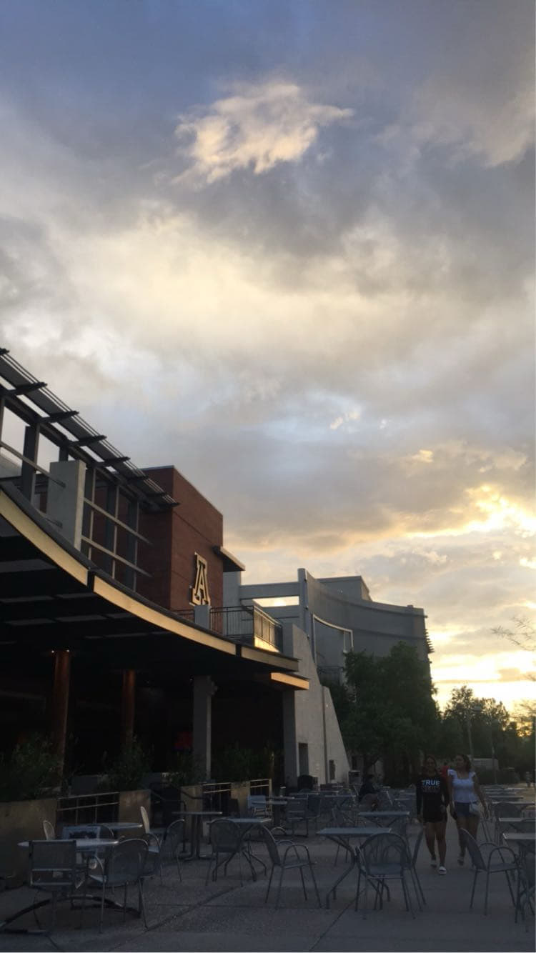 University of Arizona Admissions 2026: Application Deadline ...