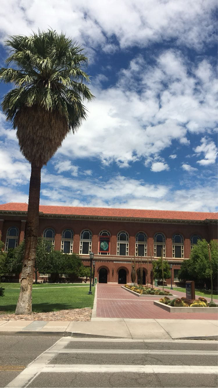 University of Arizona: Admissions 2026, Fees, Rankings, Scholarships ...