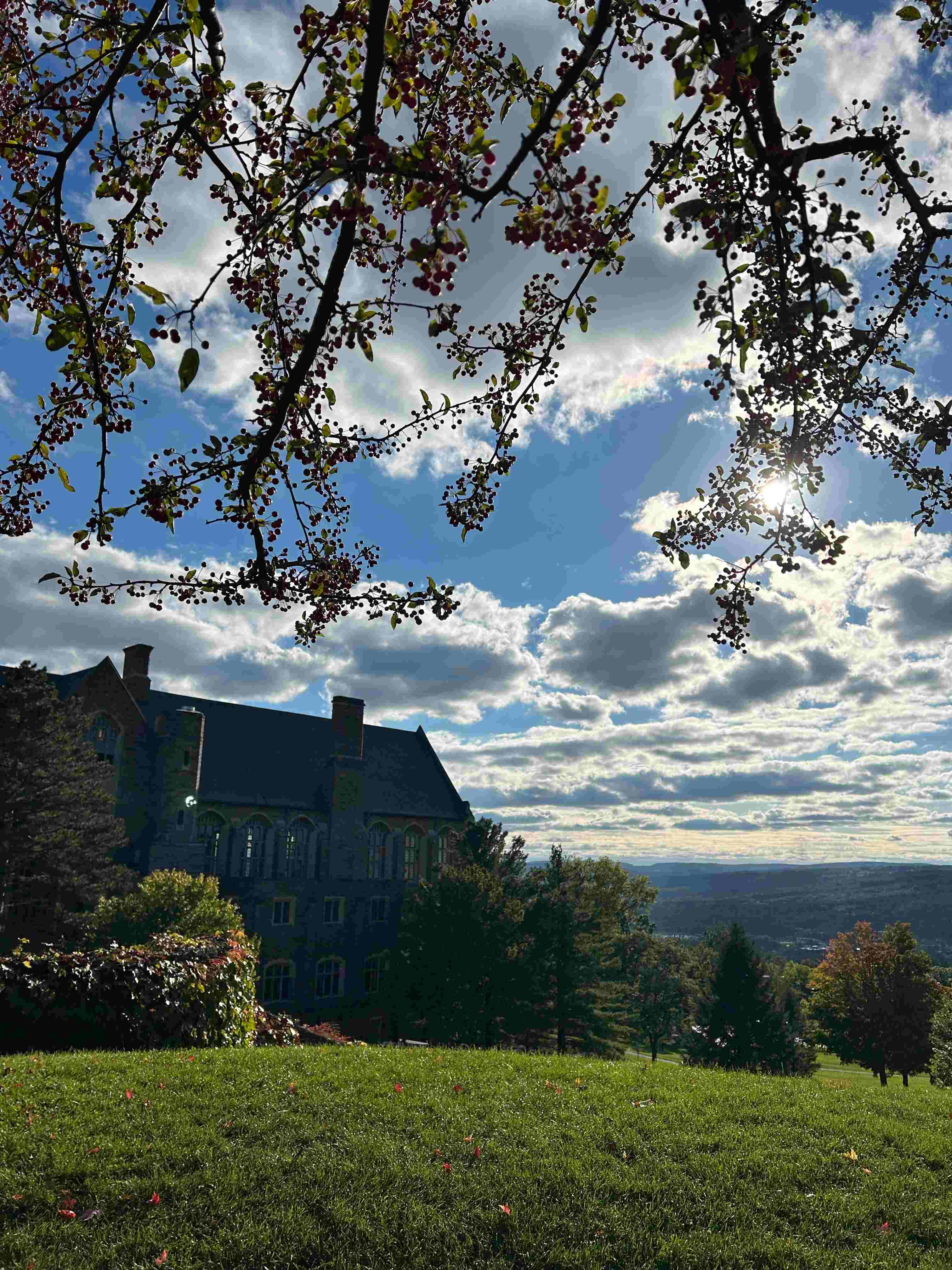 Cornell University Rankings 2026