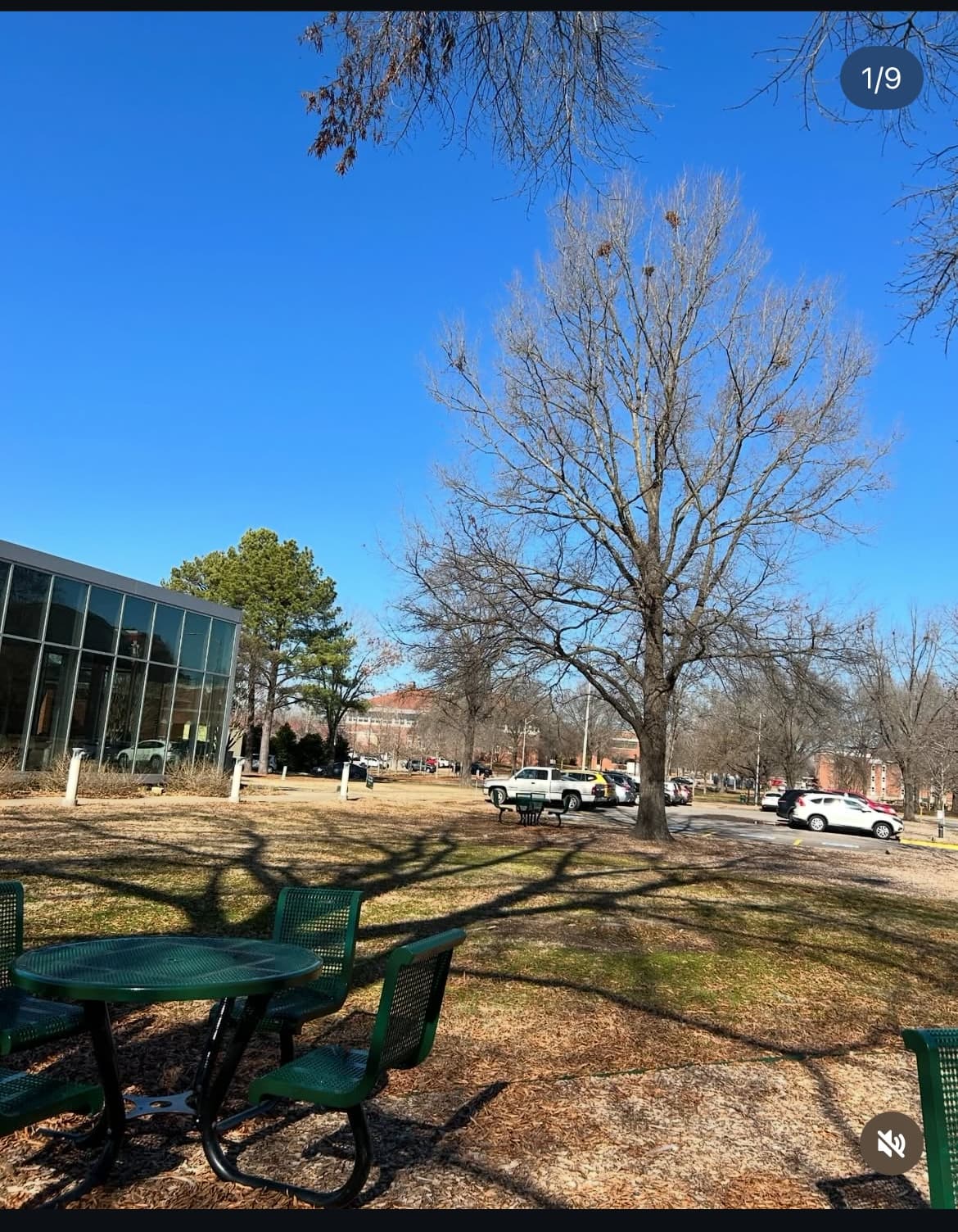 Arkansas Tech University (ATU): Fees 2026, Scholarships, Admissions ...