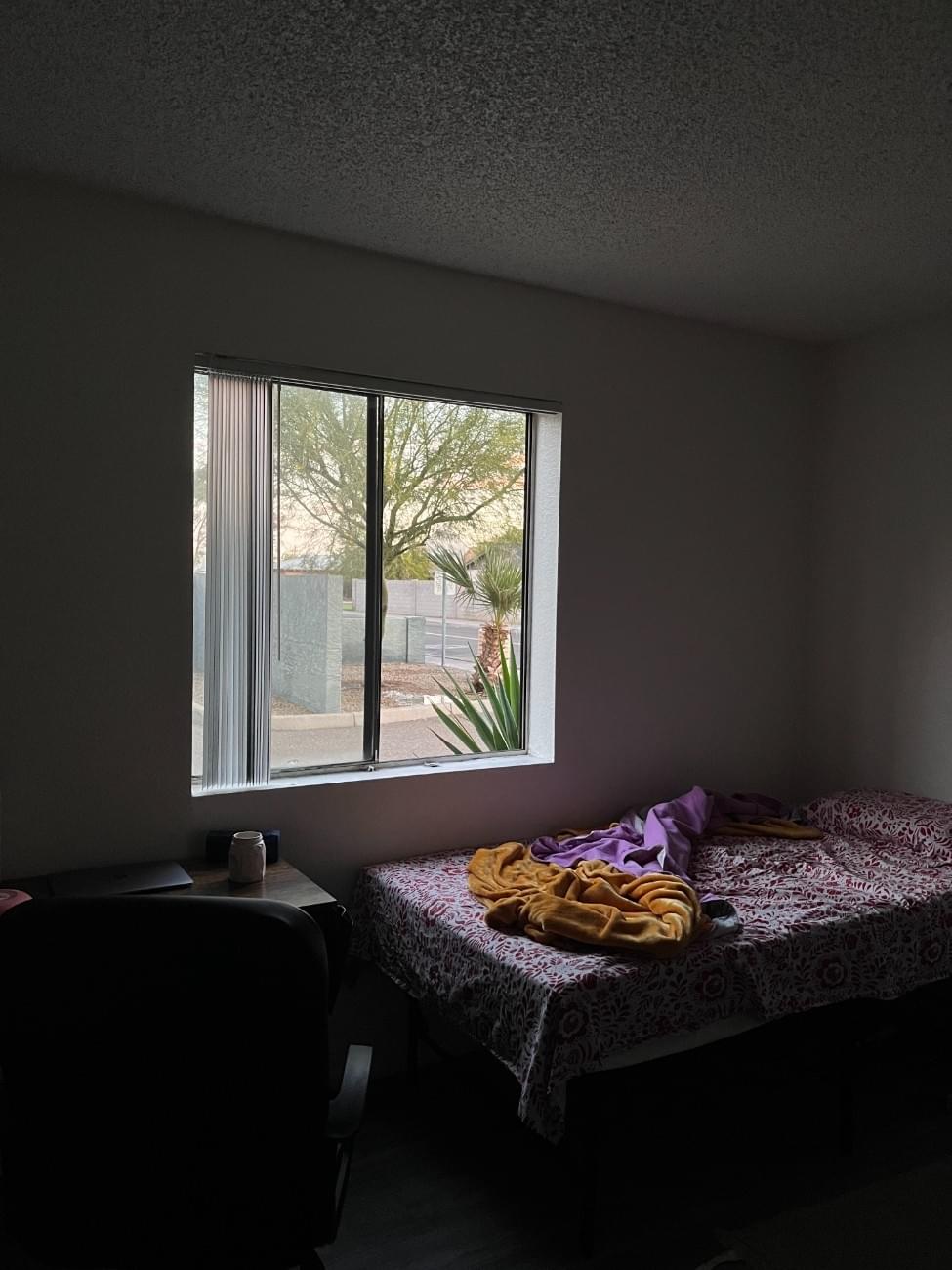 Arizona State University (ASU) Rankings 2025