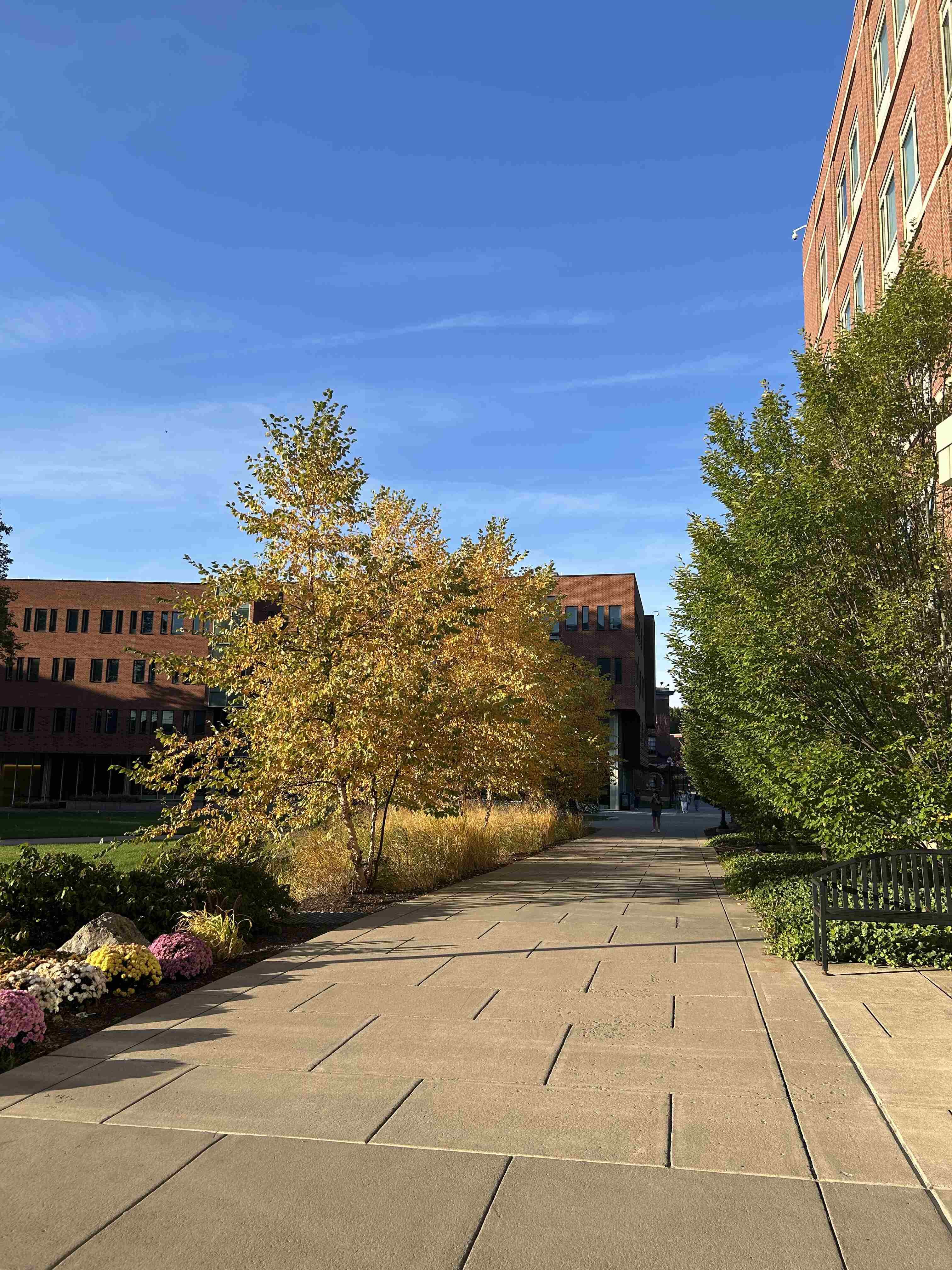 University of Rochester Admissions 2026: Application Deadline ...