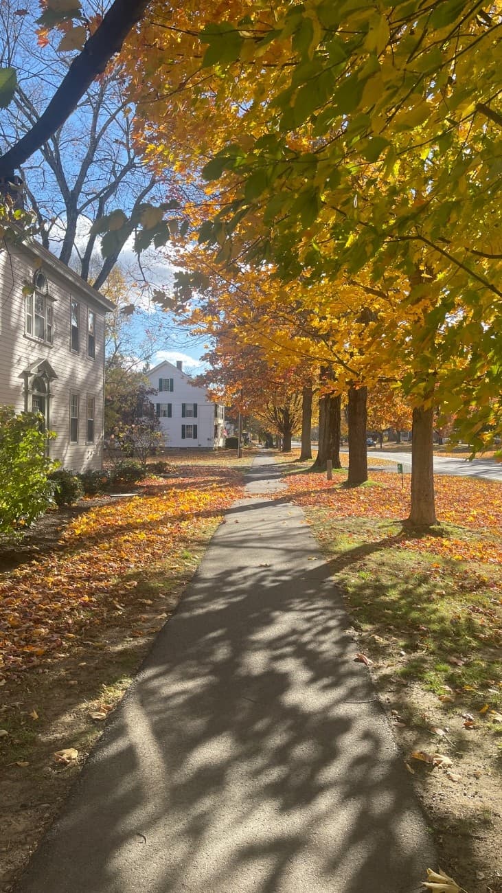 University of Massachusetts, Amherst (UMass) Admissions 2025 ...