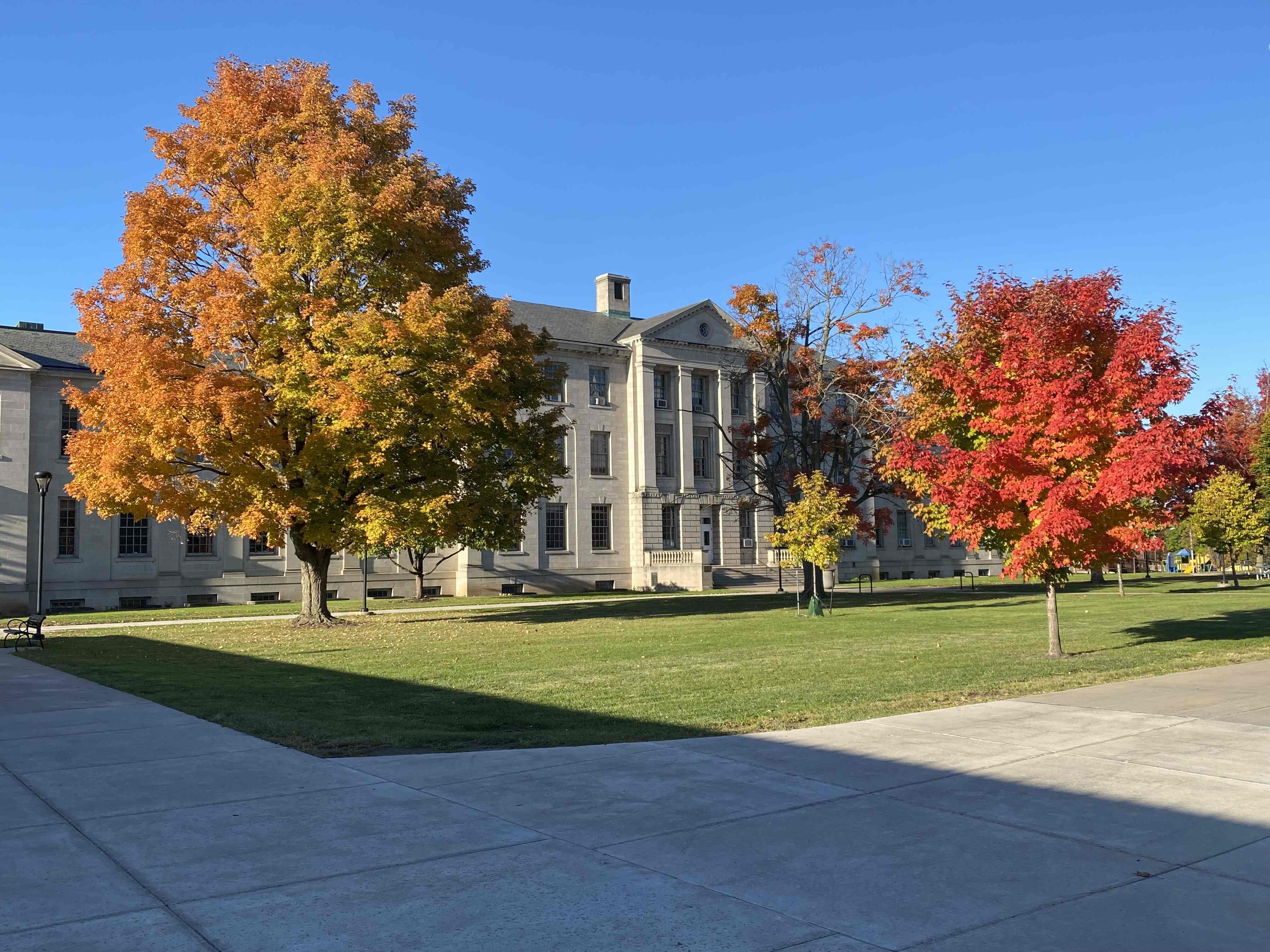 University at Buffalo: Admissions 2026, Fees, Rankings, Scholarships ...