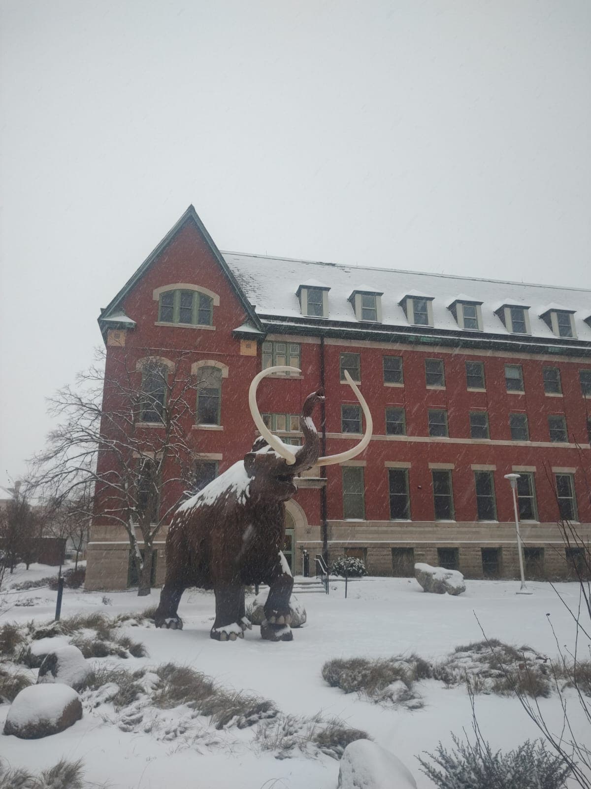 University of Illinois Urbana Champaign (UIUC) Rankings 2025