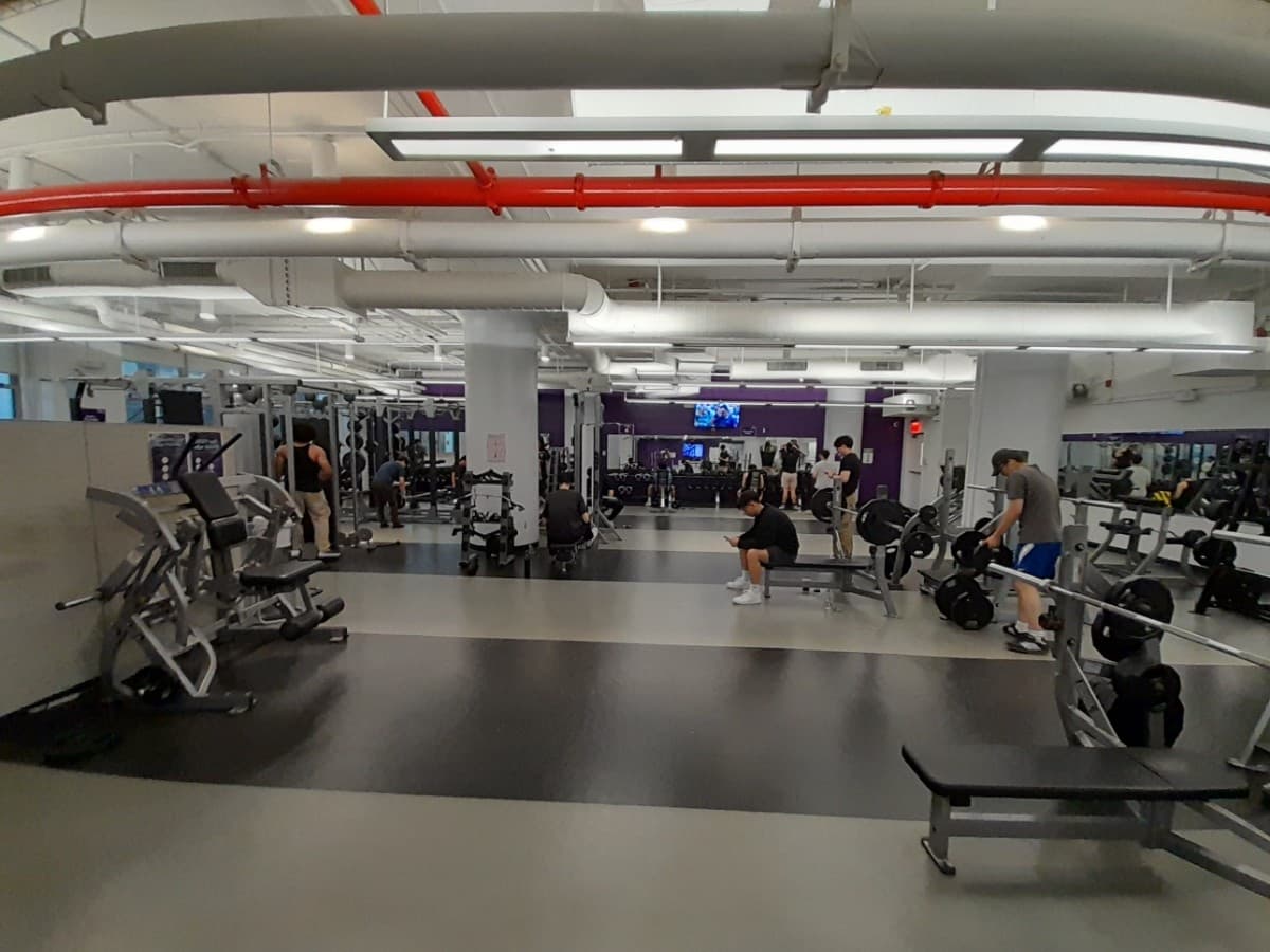 New York University (NYU) Rankings 2025