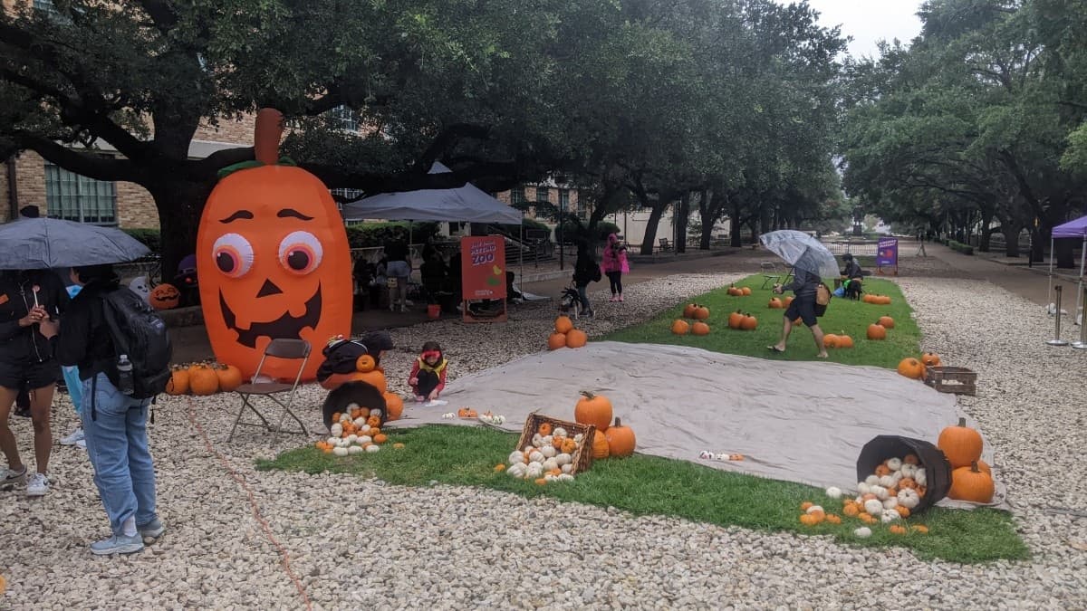 University of Texas at Austin (UT Austin) Admissions 2026: Application ...