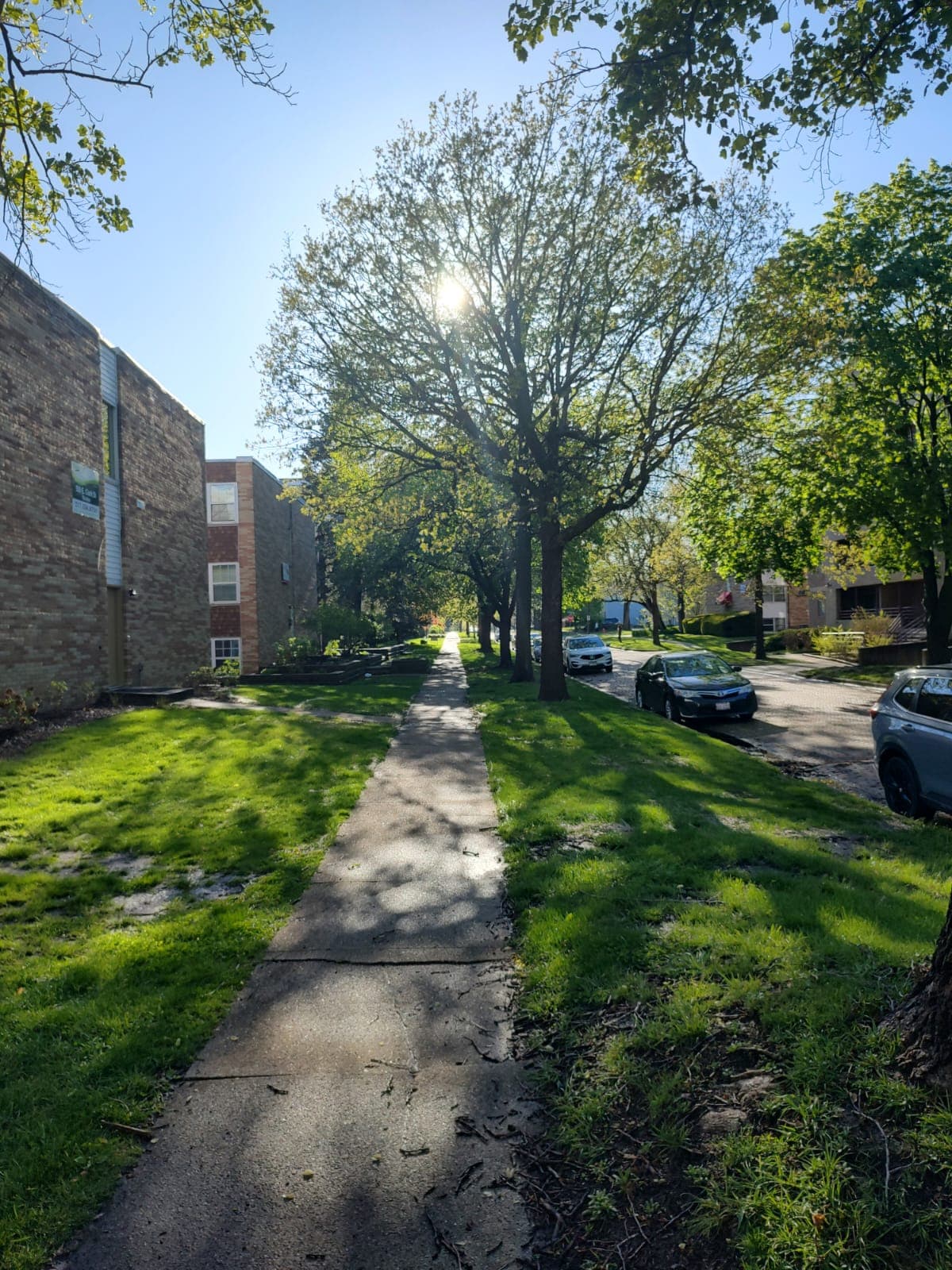 University of Illinois Urbana Champaign (UIUC) Rankings 2025