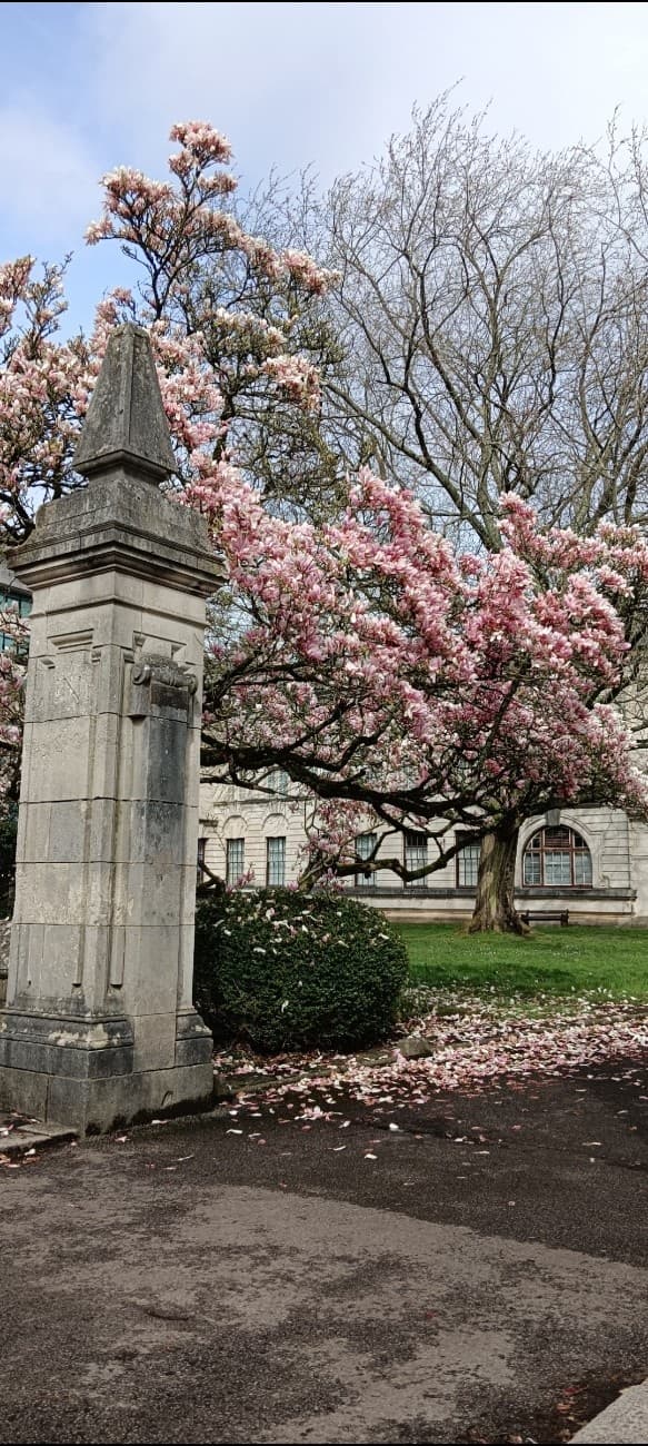 Cardiff University: Fees 2026, Admissions, Rankings, Scholarships ...