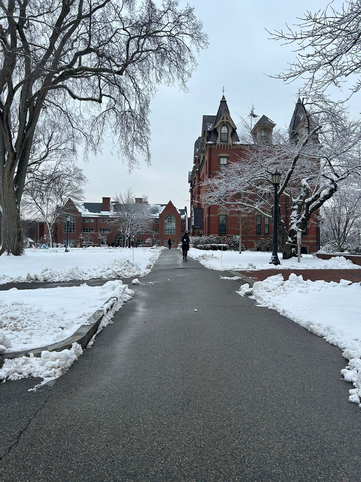 Tufts University: Admissions 2026, Scholarships, Fees 2026, Rankings ...