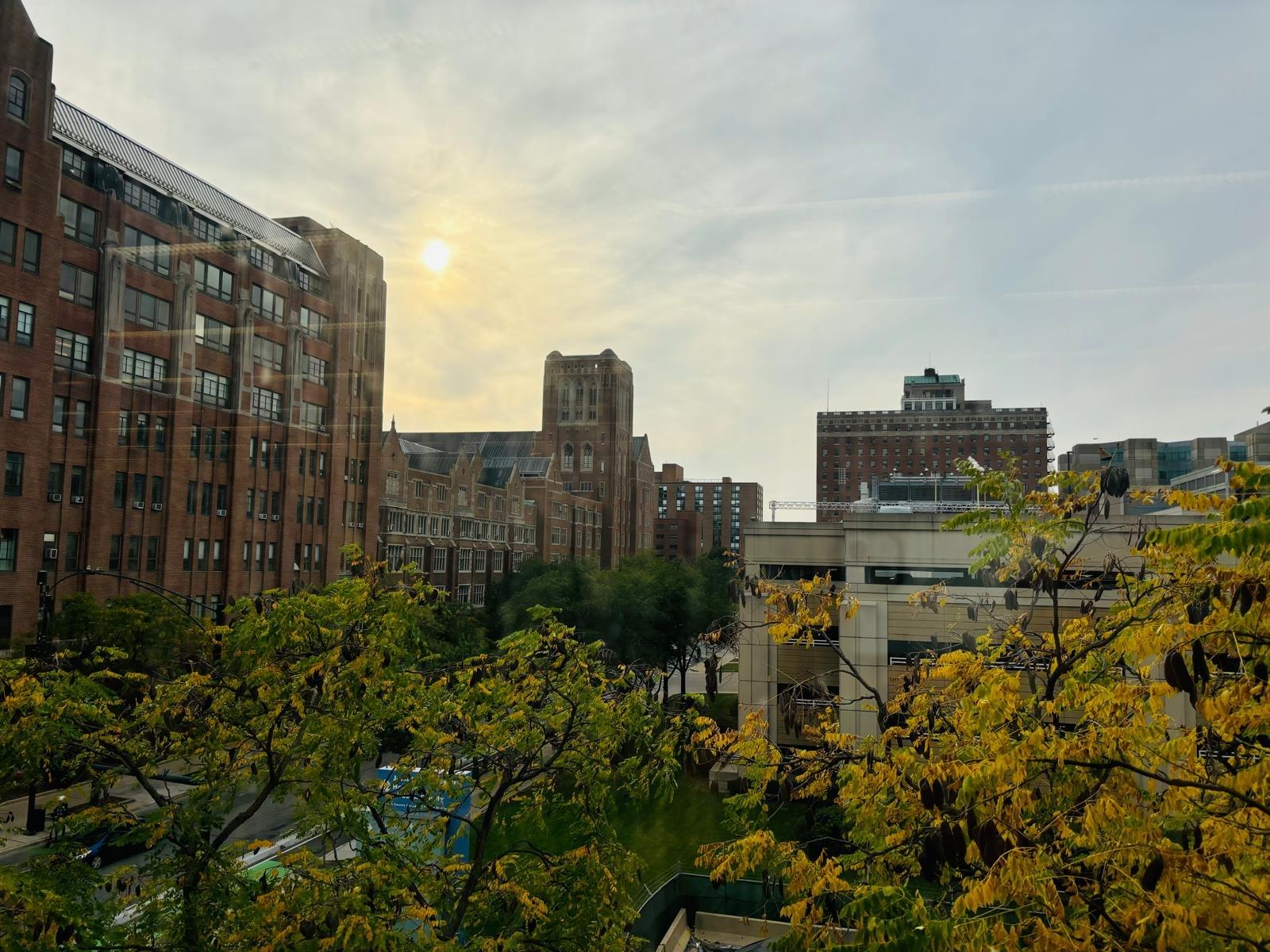 University of Illinois at Chicago (UIC) Rankings 2025