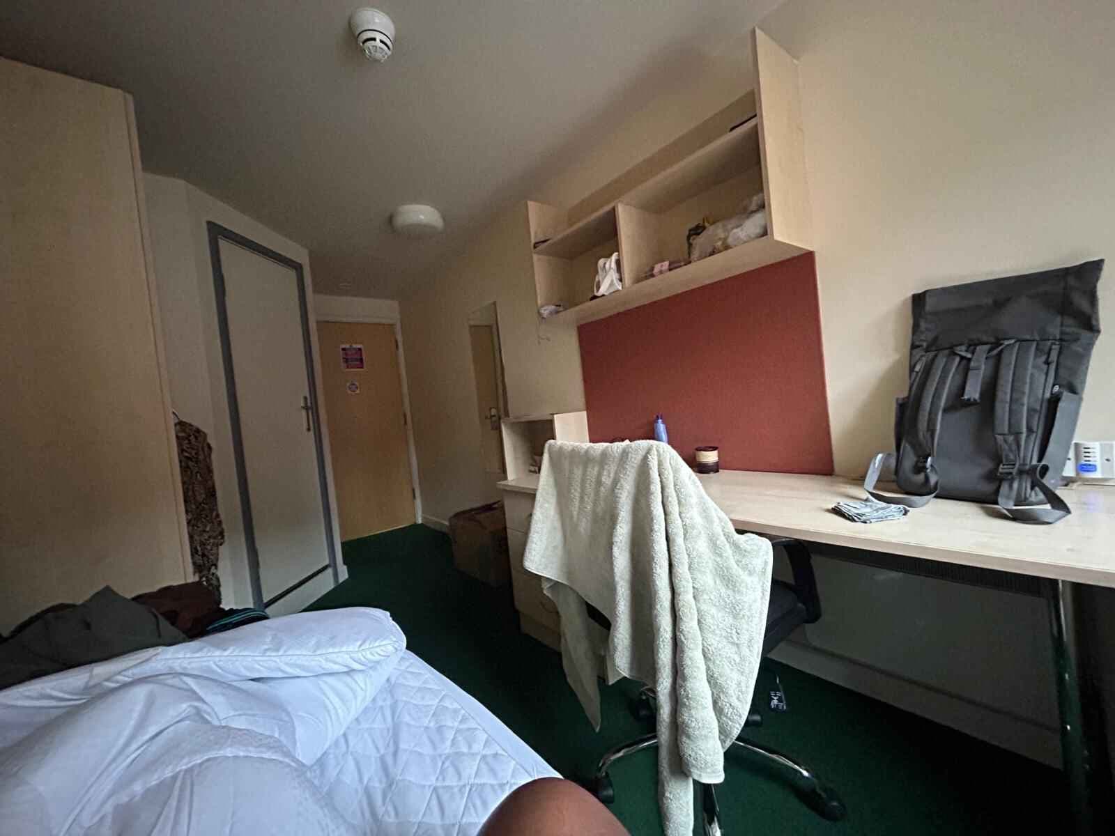 University of Georgia Admissions 2025: Application Deadline ...