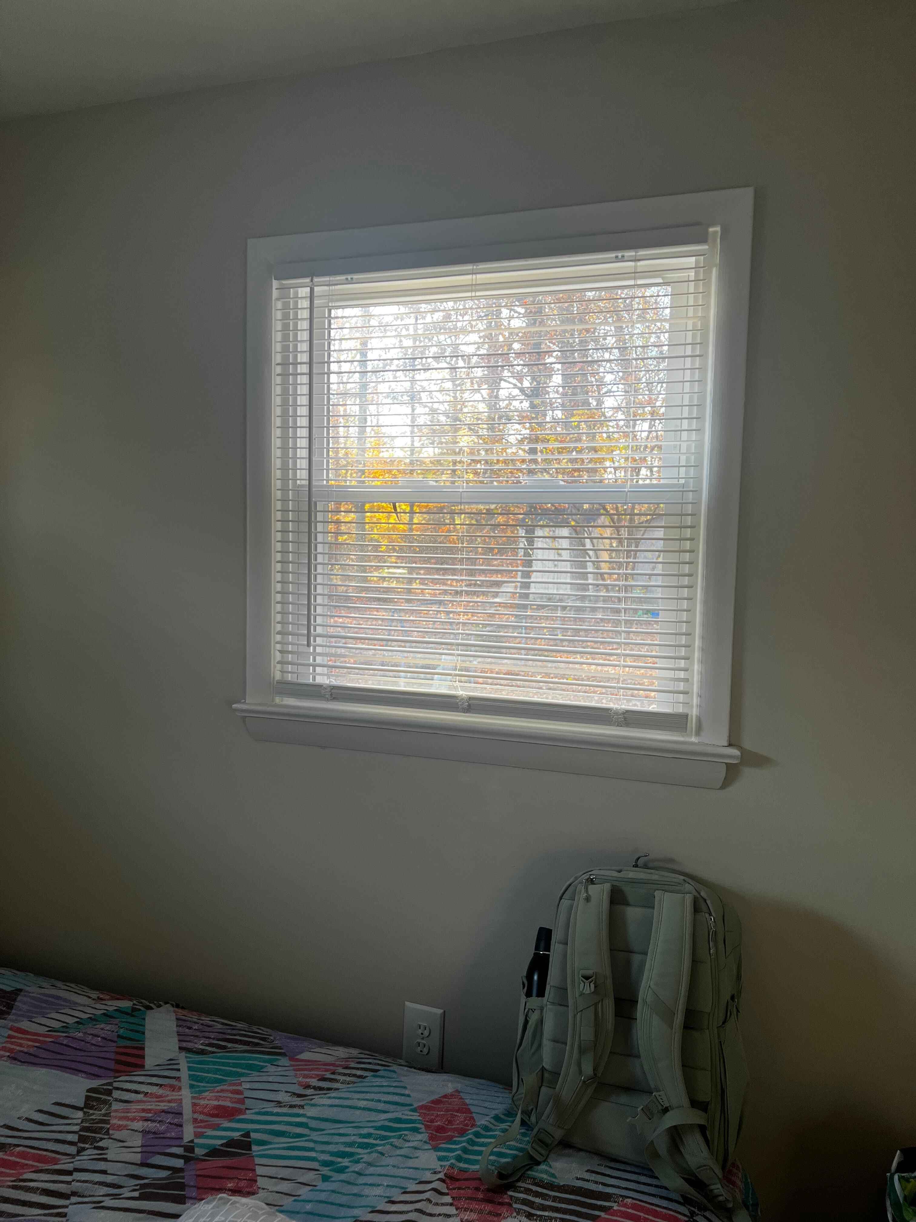 University of Maryland Admissions 2026: Application Deadline ...