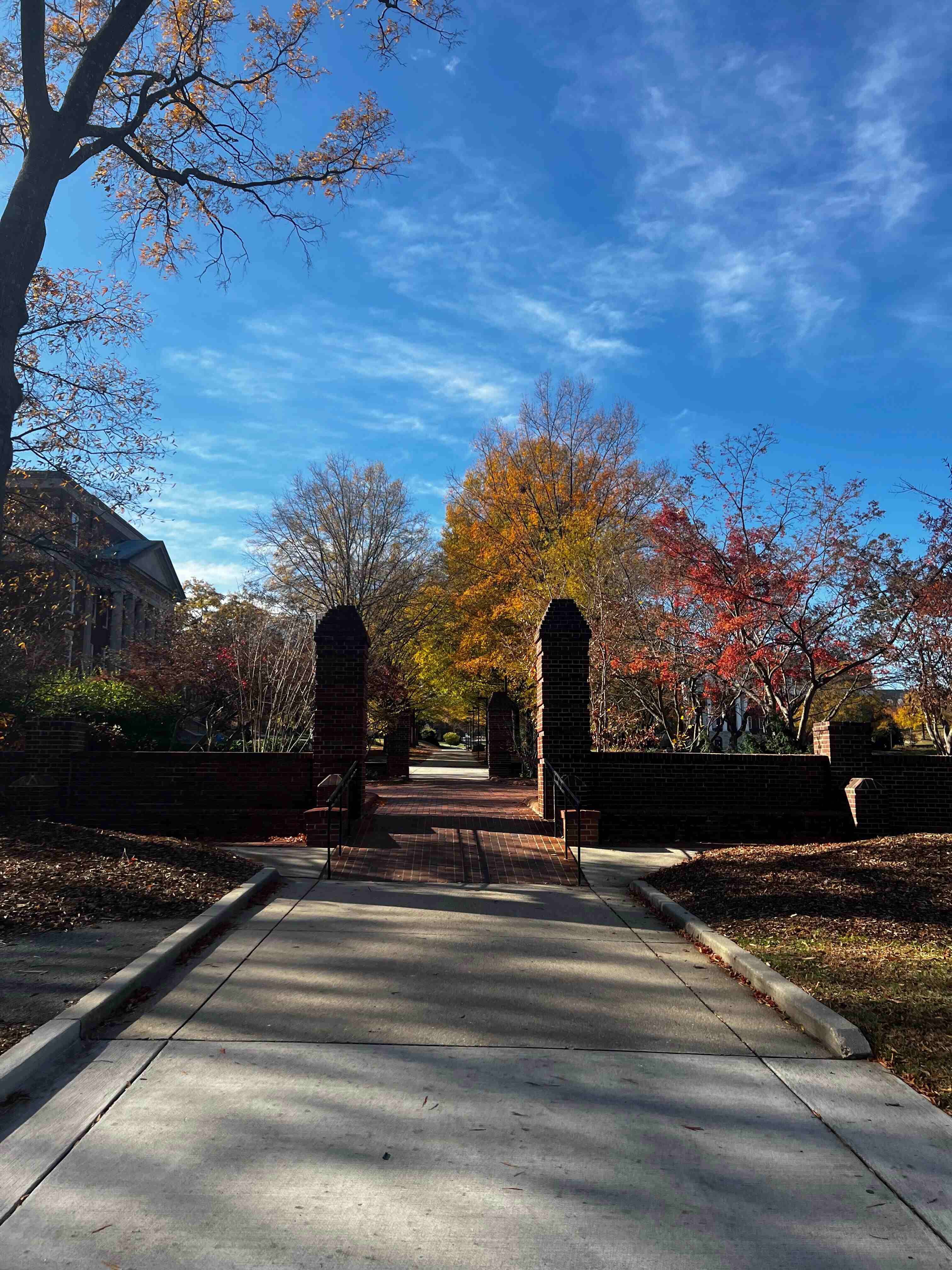 University of Maryland Admissions 2026: Application Deadline ...