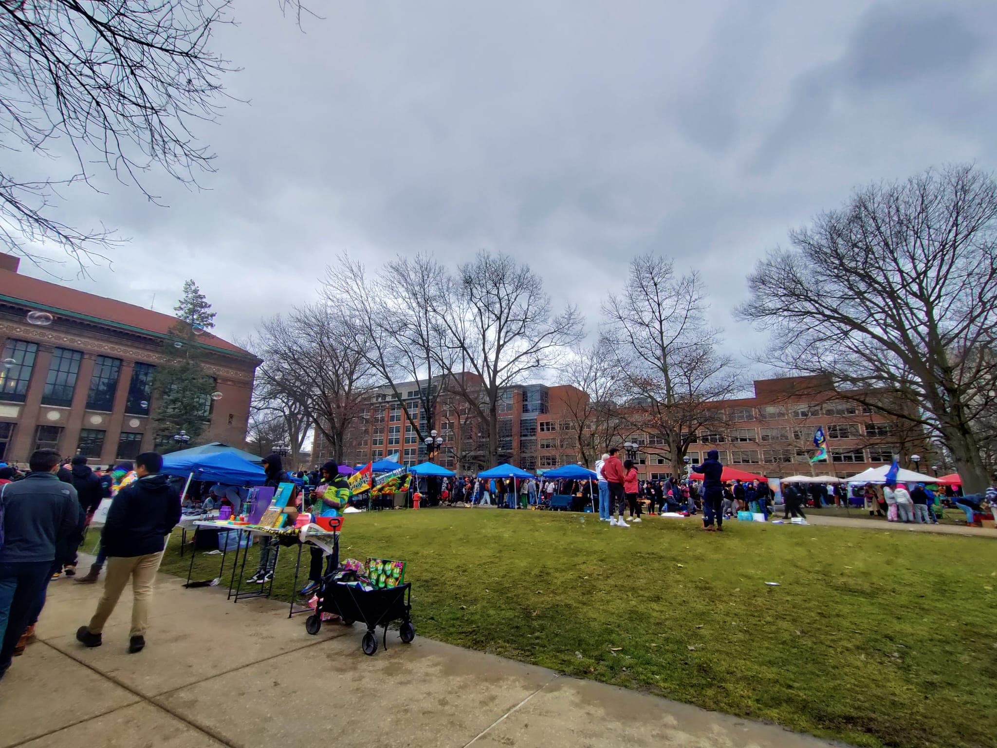 University of Michigan Ann Arbor Rankings 2025: World & Subject Ranks