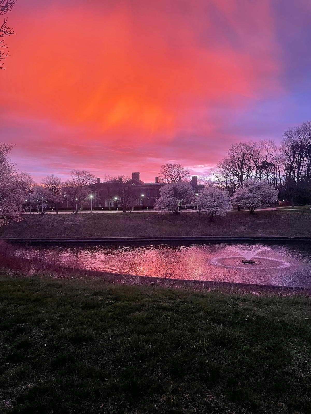 University of Illinois Urbana Champaign (UIUC) Rankings 2025