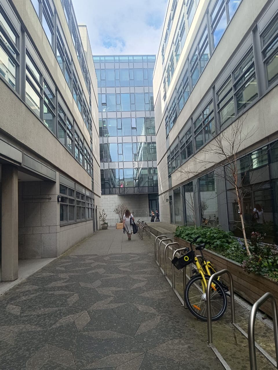 Trinity College Dublin (TCD): Fees 2025, Admissions, Rankings ...