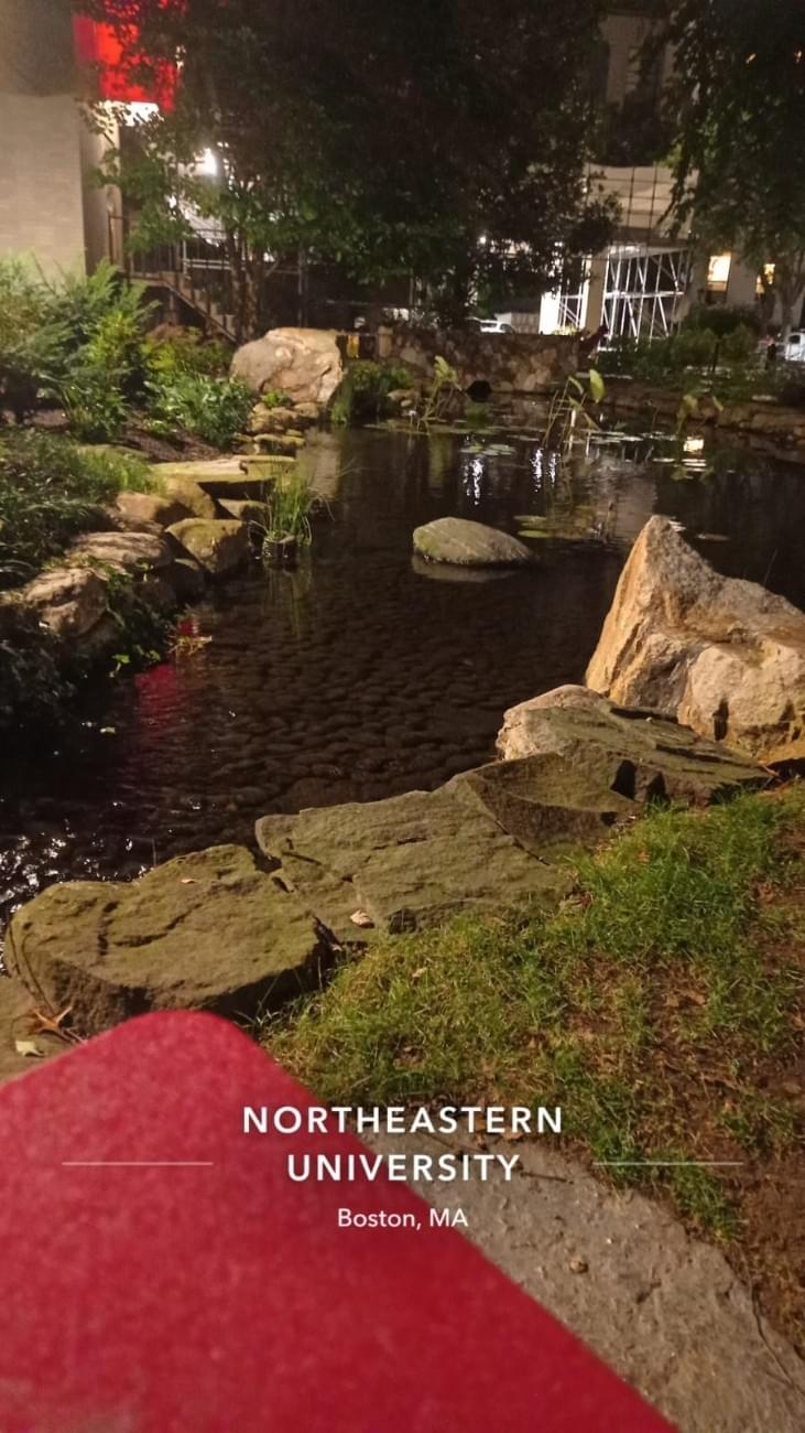 Northeastern University (NEU): Admissions 2026, Fees, Rankings ...