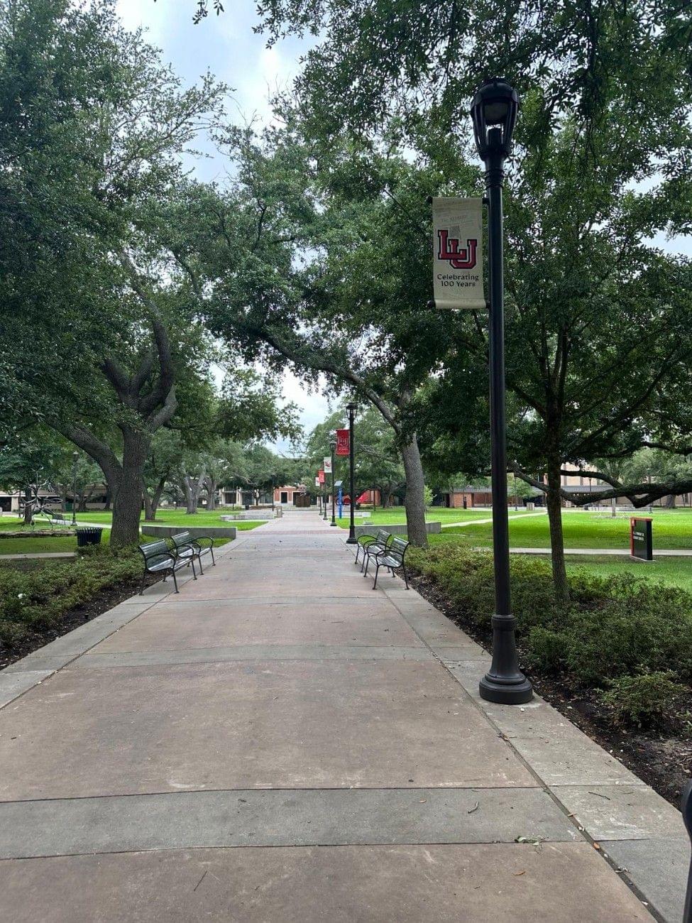 Lamar University, Beaumont Ranking 2025 from QS, THE & US NEWS
