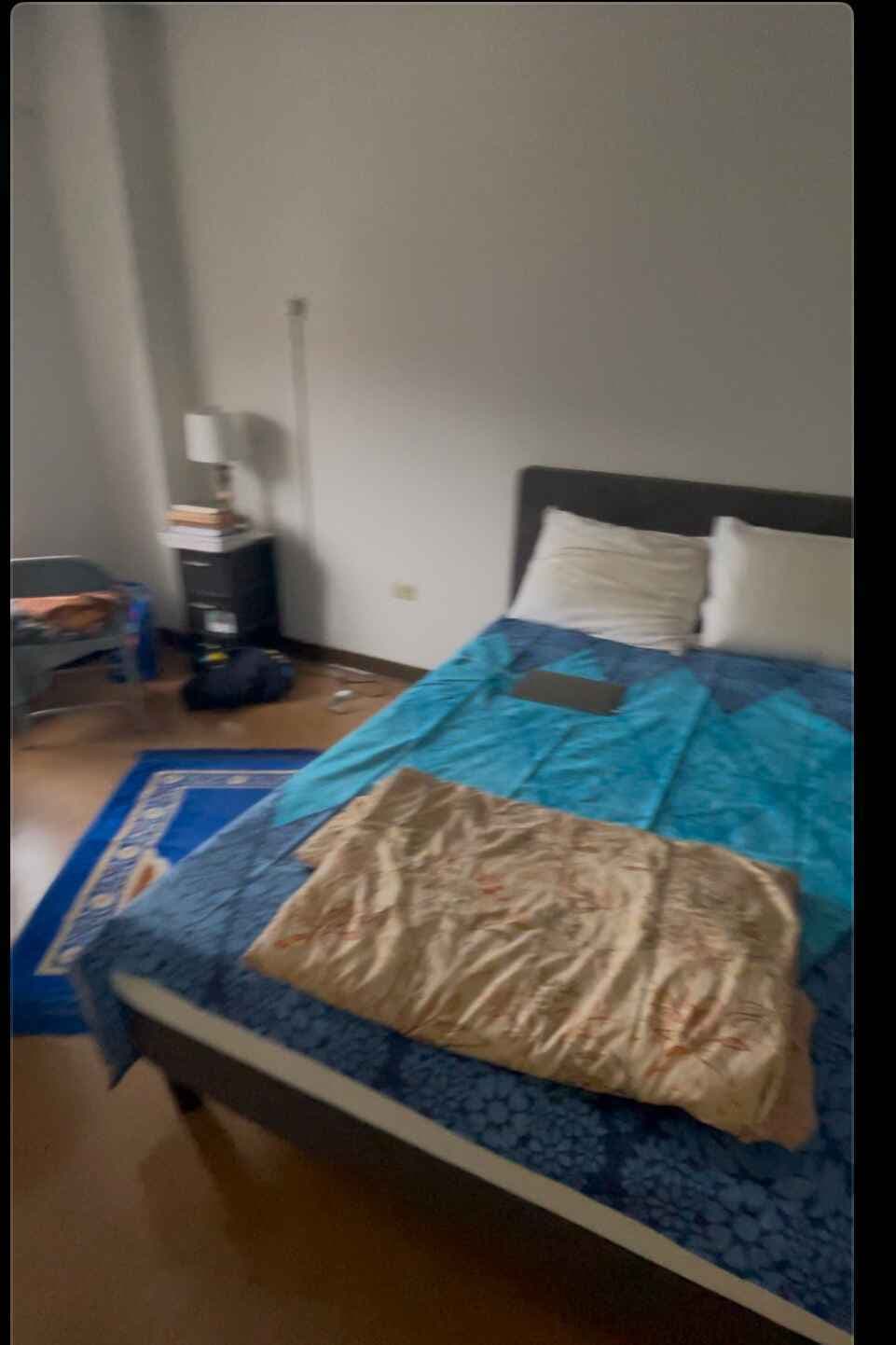 University of Rochester Admissions: 2025 Deadlines & Acceptance Rate