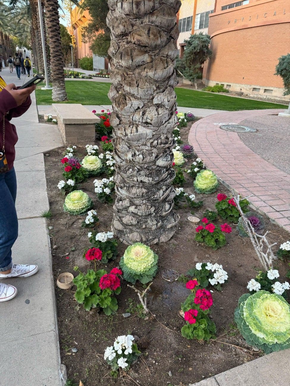 Arizona State University (ASU) Rankings 2026