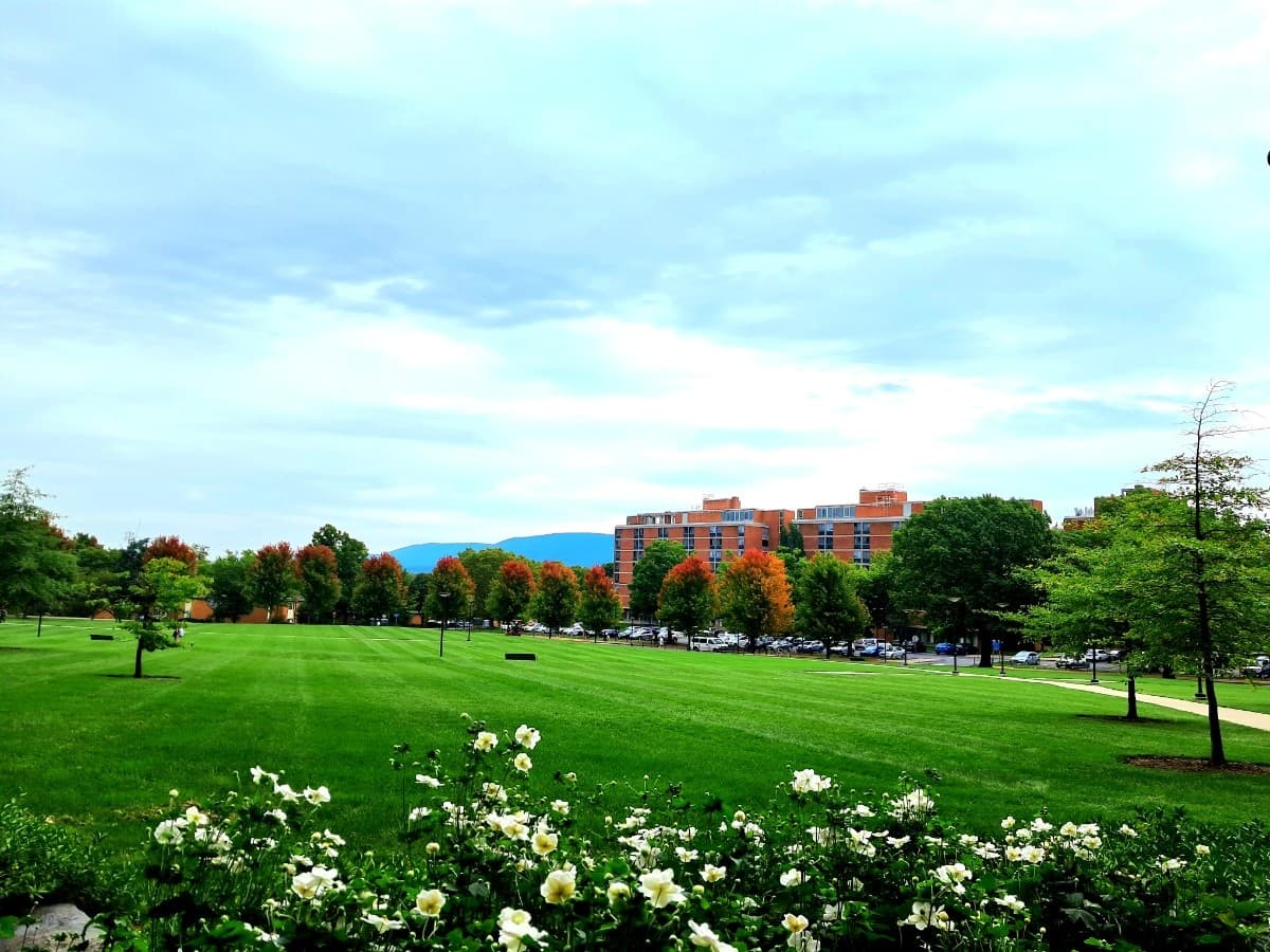Pennsylvania State University (Penn State) Admissions 2026: Application ...