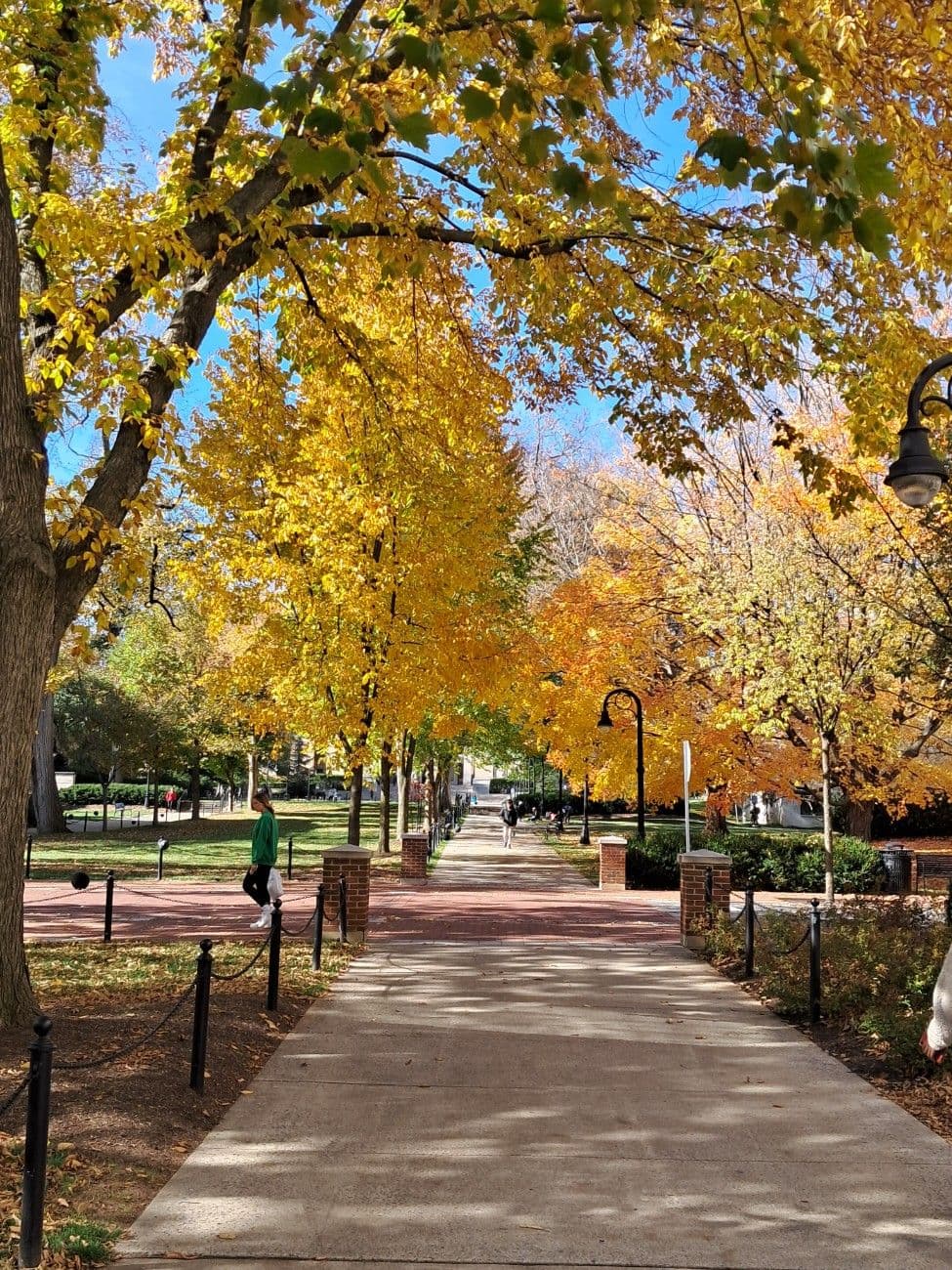 Pennsylvania State University (Penn State) Admissions 2026: Application ...
