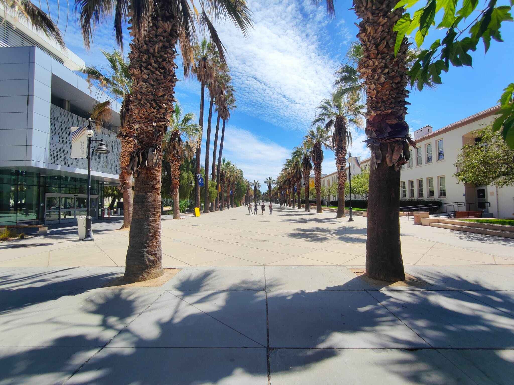 San Jose State University Rankings 2025: National, Global, Subject-wise ...