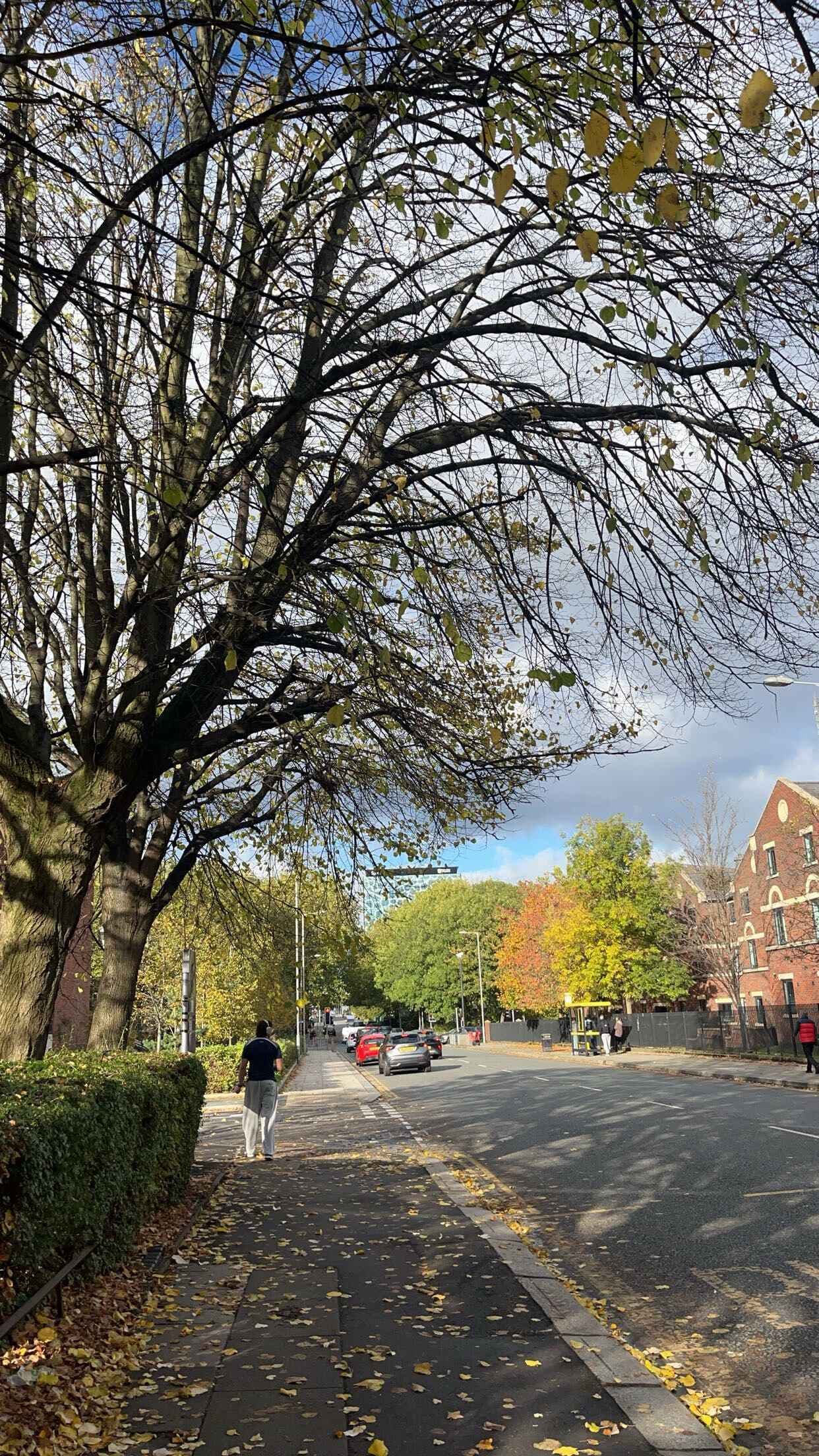 University of Liverpool Admissions 2025 and Acceptance Rate