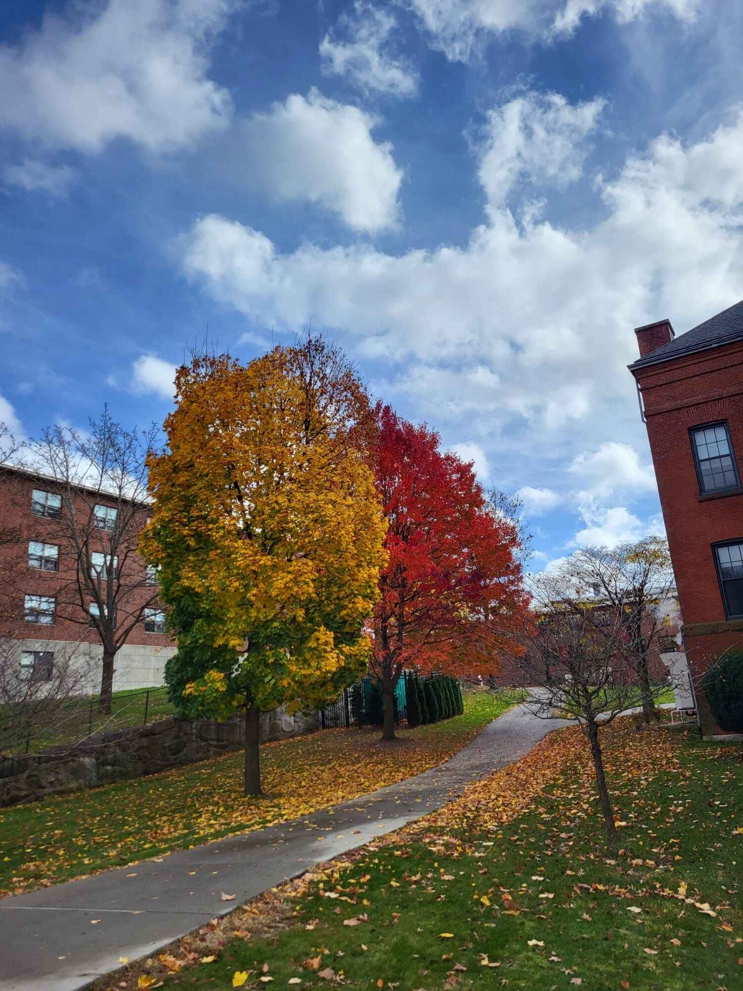 Clark University, Worcester Ranking 2025 from QS, THE & US NEWS