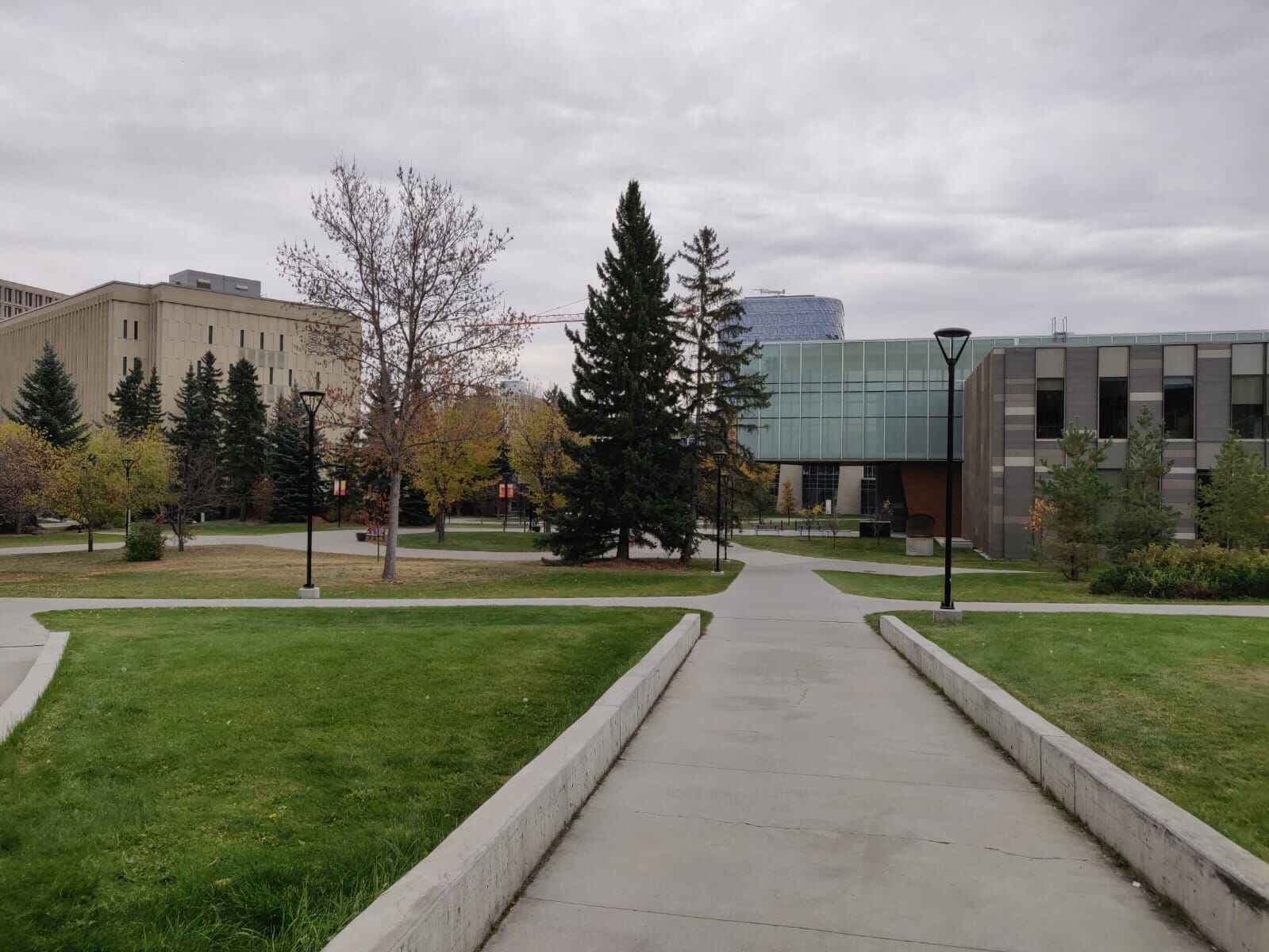 University of Calgary: Admissions 2025, Fees, Rankings, Scholarships ...