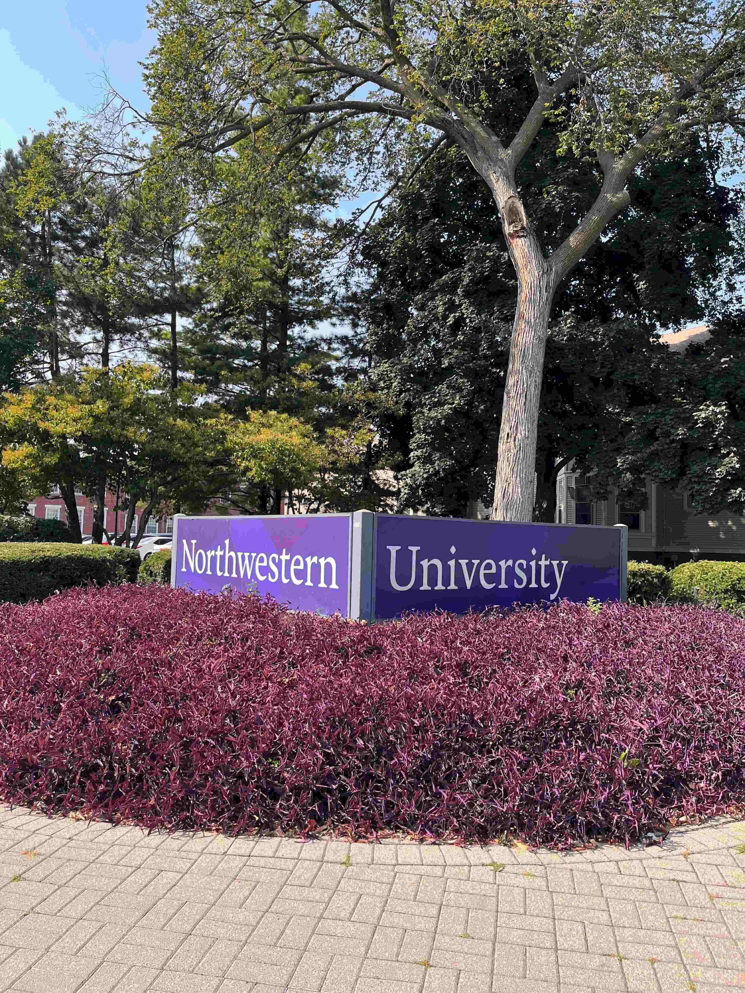 Northwestern University (NU): Admissions 2026, Fees, Rankings ...