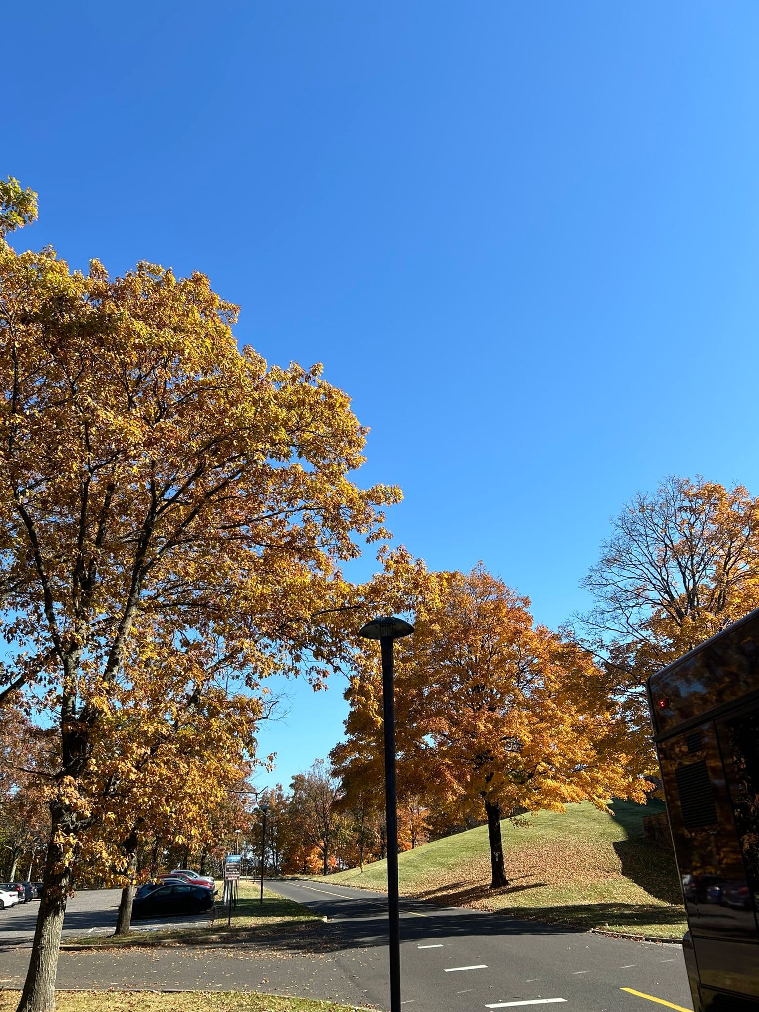 Lehigh University Admissions 2026: Application Deadline, Eligibility & Fees