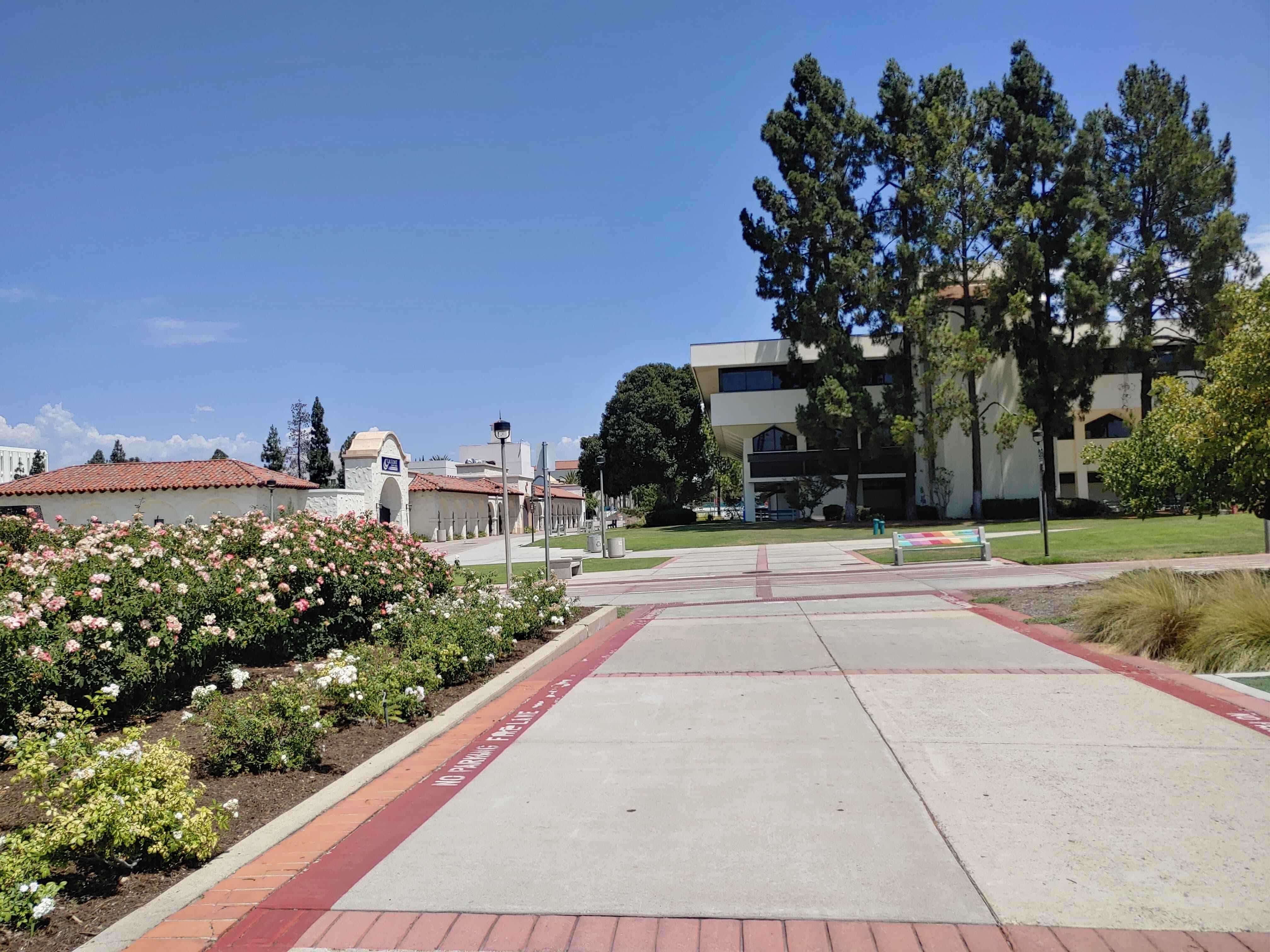 San Diego State University (SDSU): Admissions 2025, Scholarships, Fees ...