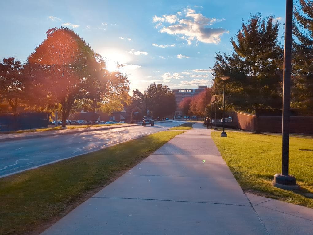 Pennsylvania State University (Penn State) Admissions 2026: Application ...